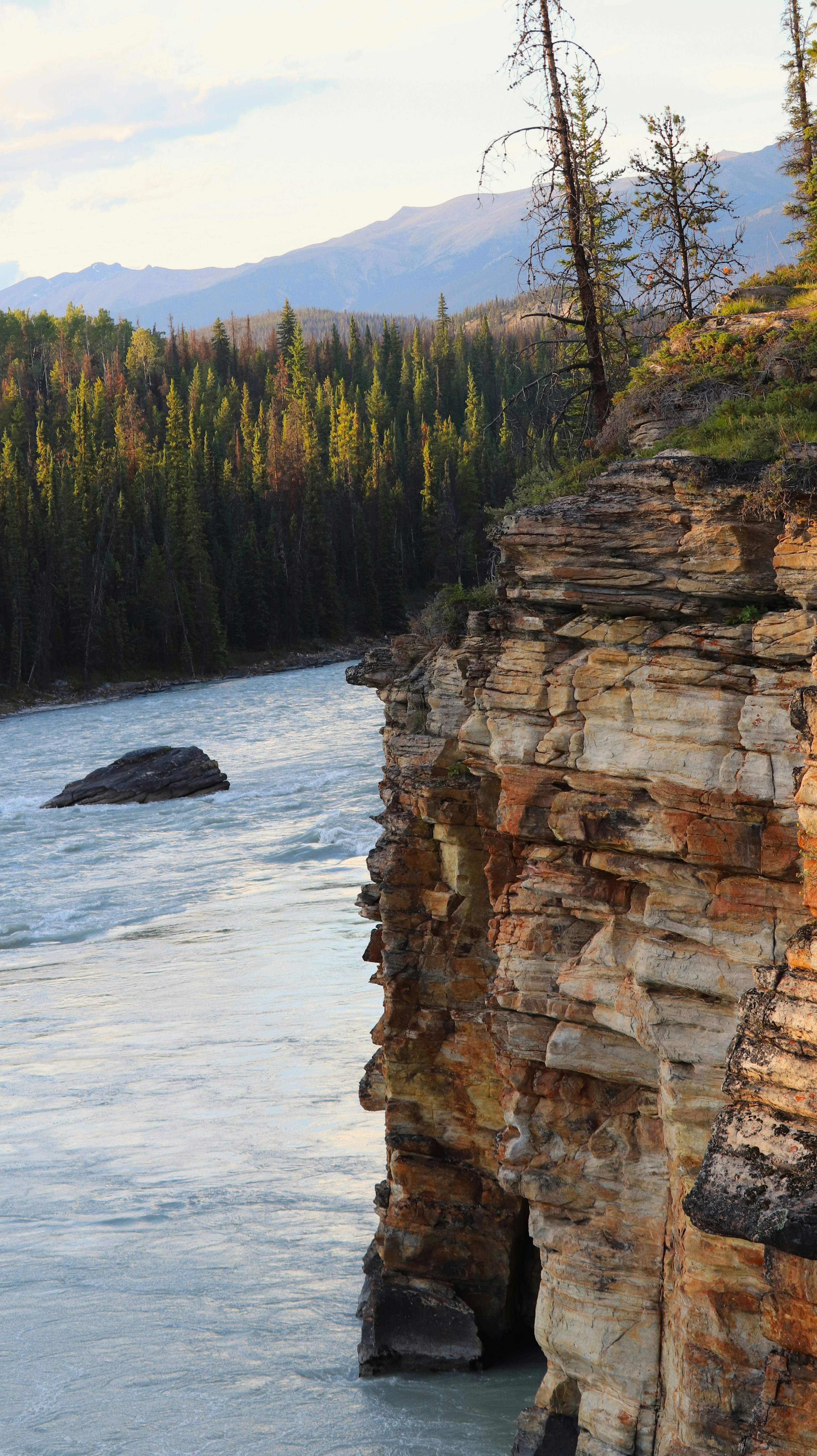 Strata at the River’s Edge: Sunlit Cliffs Framed by Pines and Distant Peaks