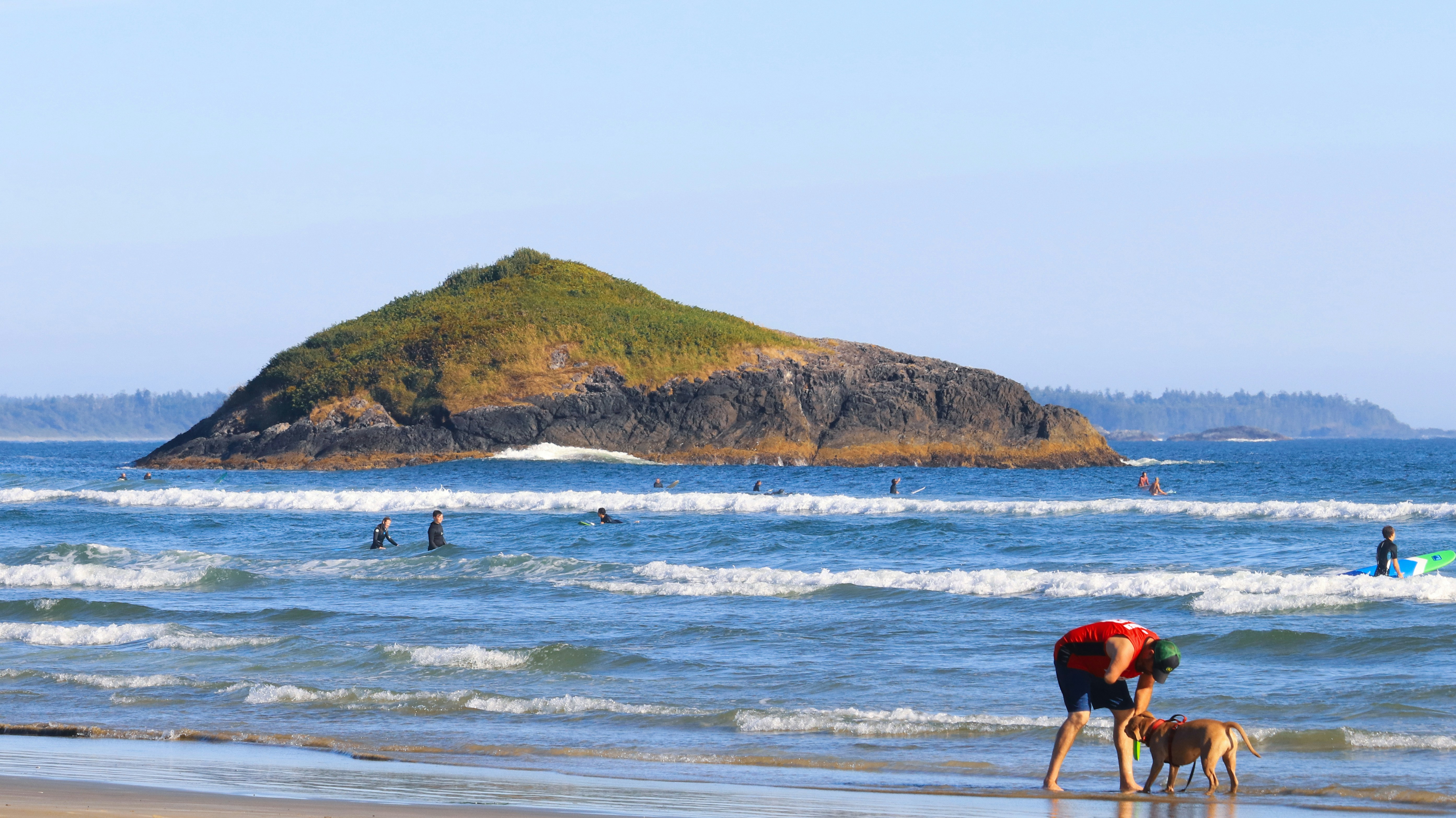 Island at the Edge: Surfers and a Dog by the Shimmering Shore