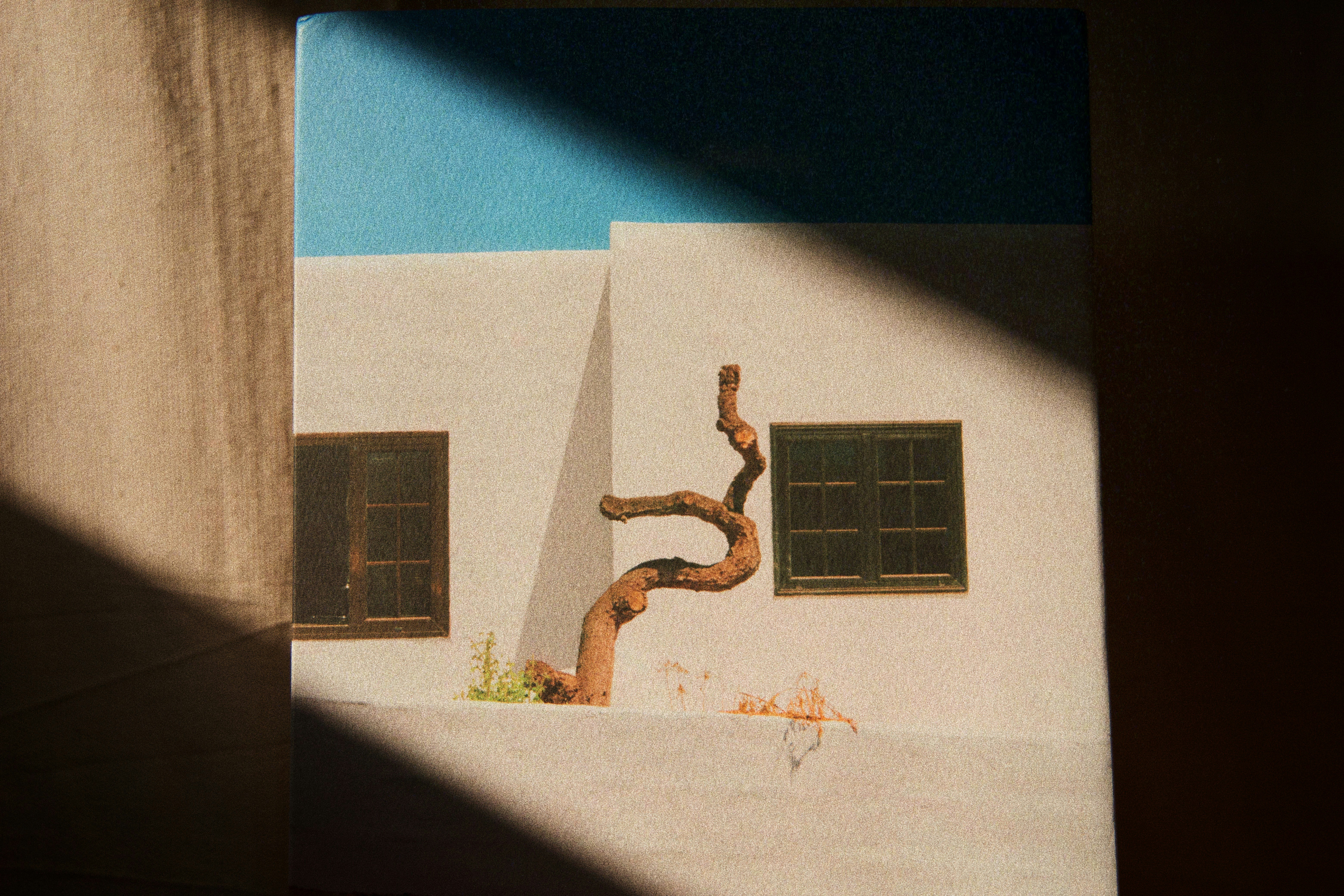 Kinfolk Pictures | Download Free Images on Unsplash