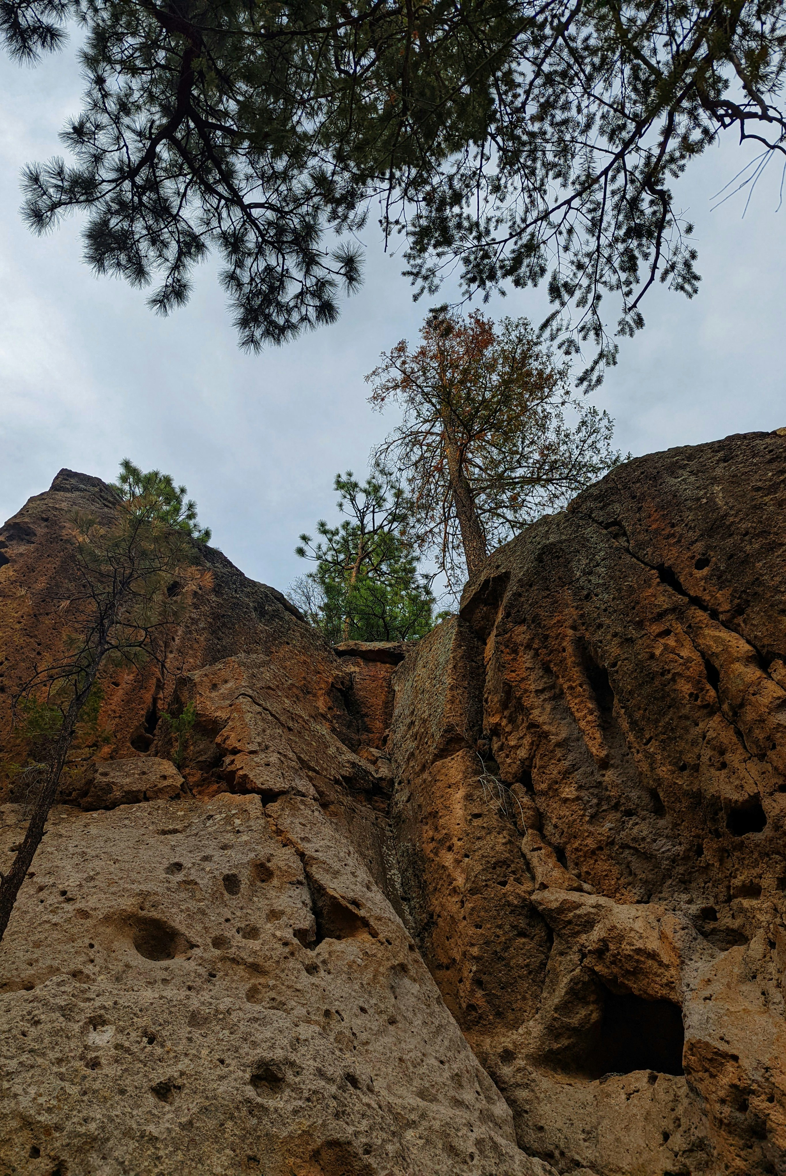 Looking up at towering rock formations framed by trees, showcasing the rugged beauty of the landscape.