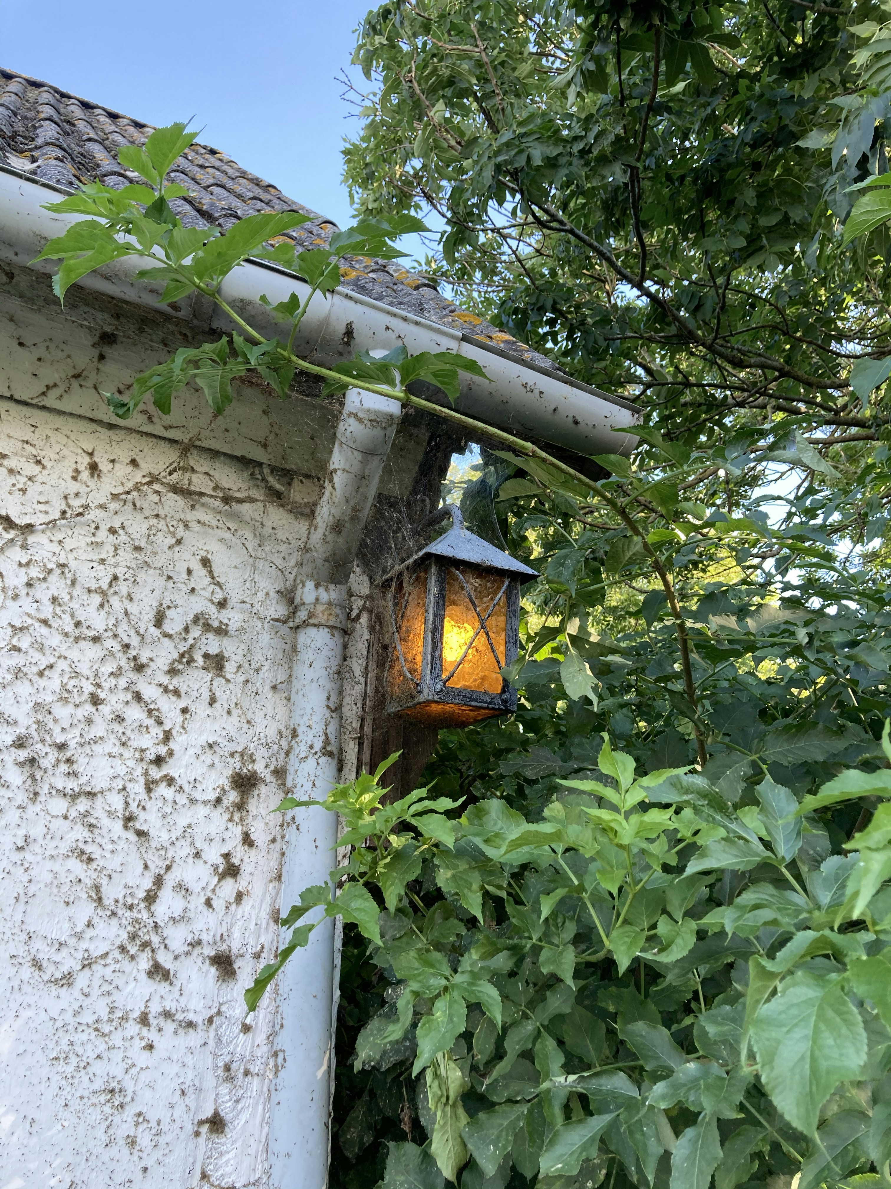 a bird house with a tree in the front