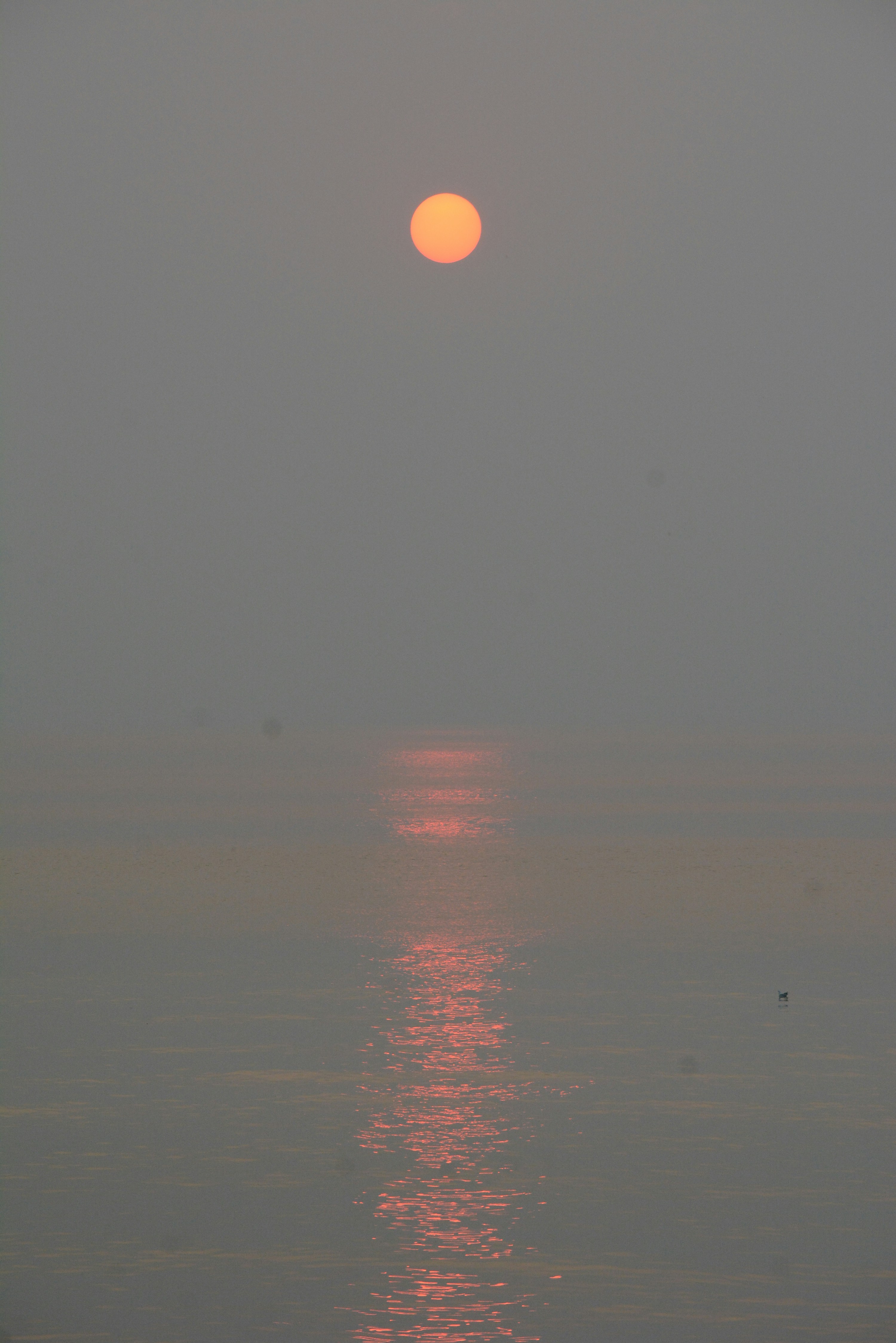 Photo by Richard Lin with Nikon D7100