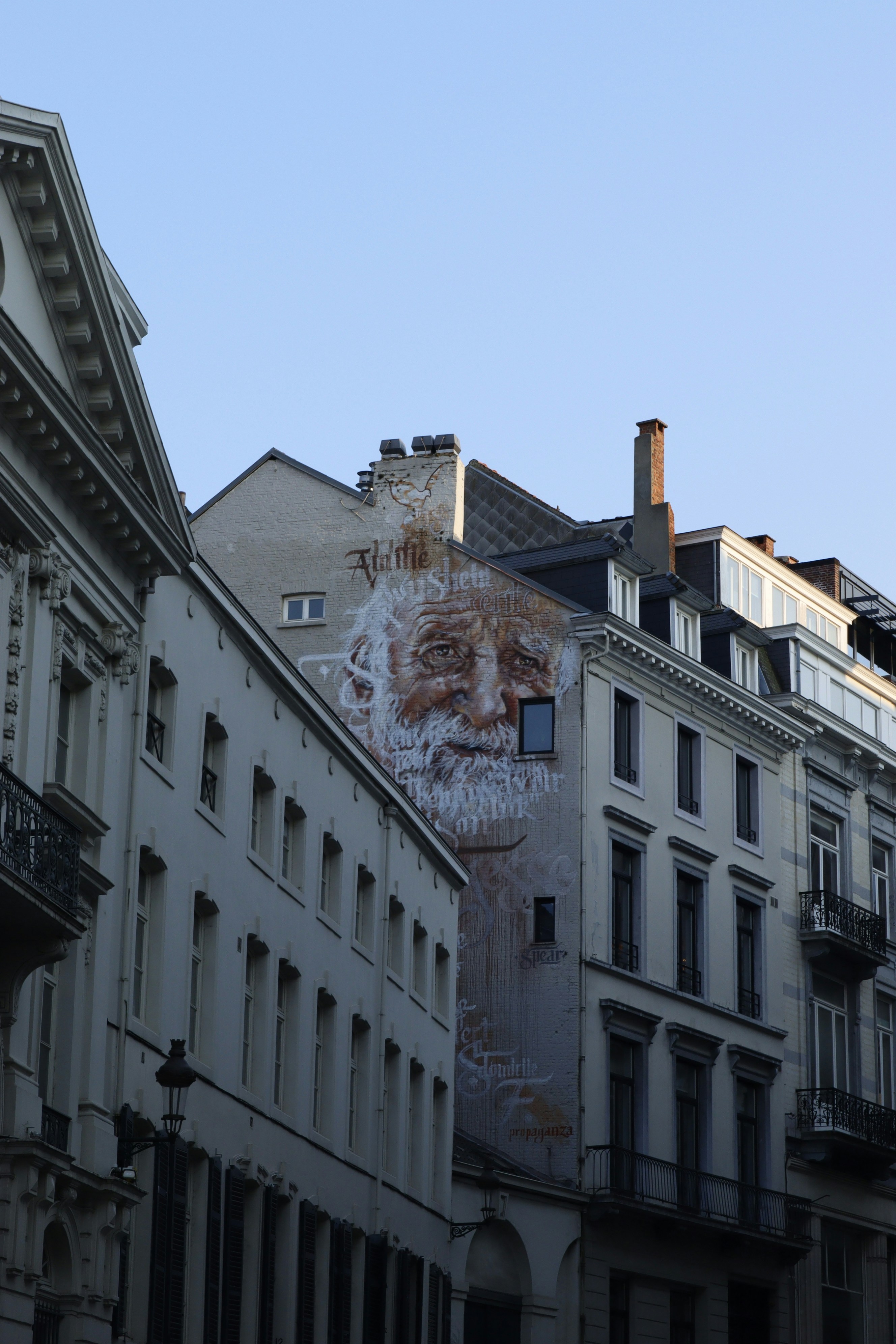 Mural Portrait on a Parisian Facade: An Elder's Gaze Among Rooftops