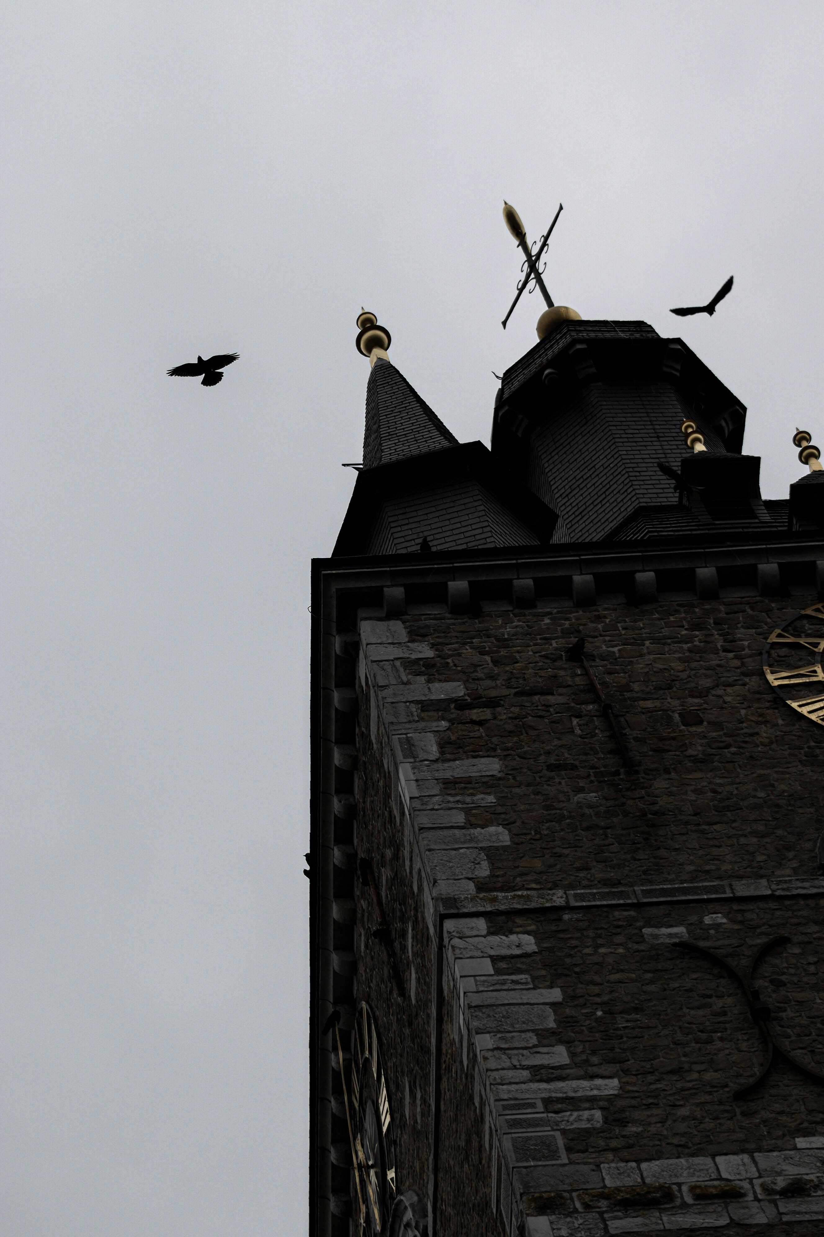 Clocktower silhouette against a moody sky with drifting birds
