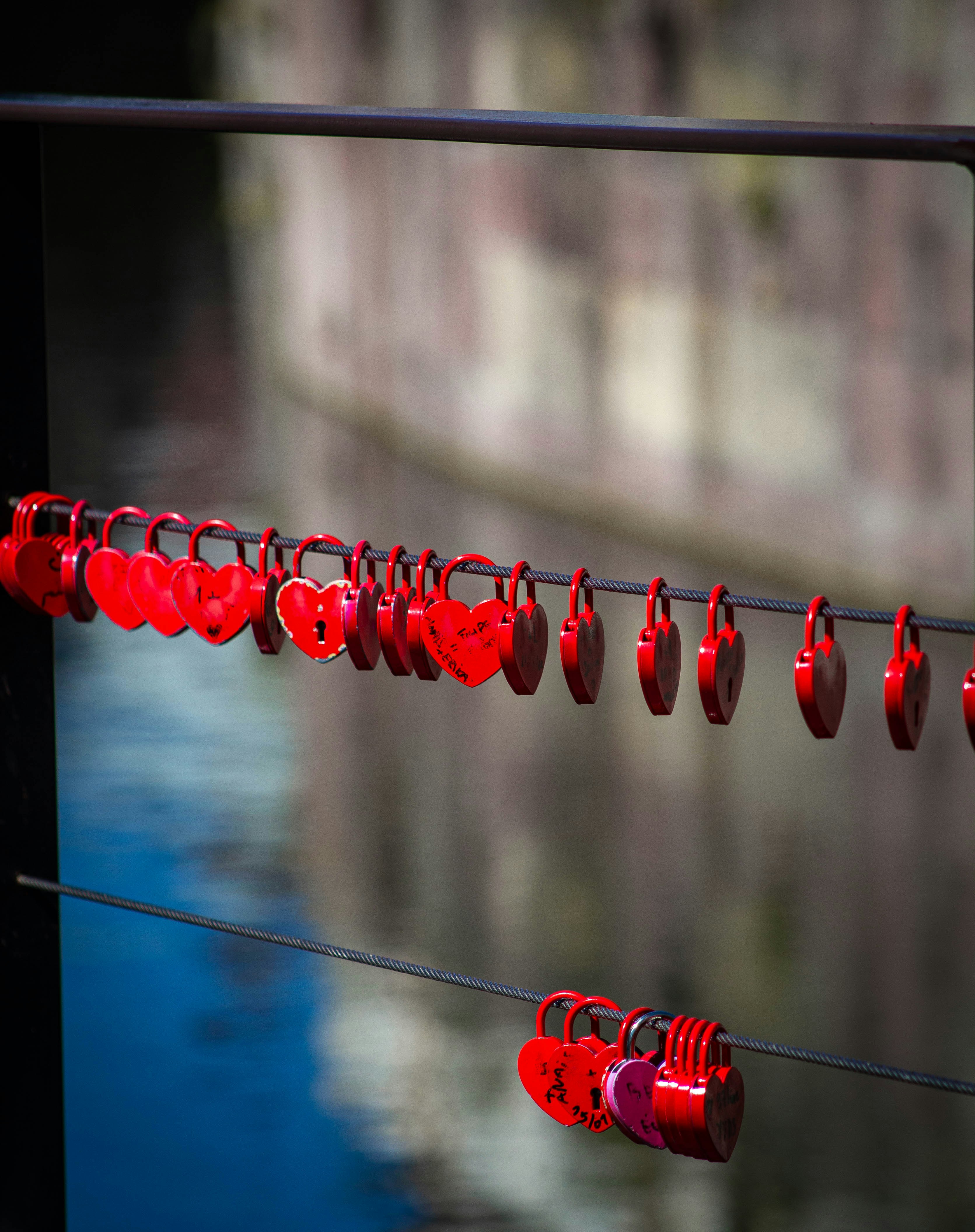Crimson Heart Locks Line a Canal Bridge Over Quiet Water