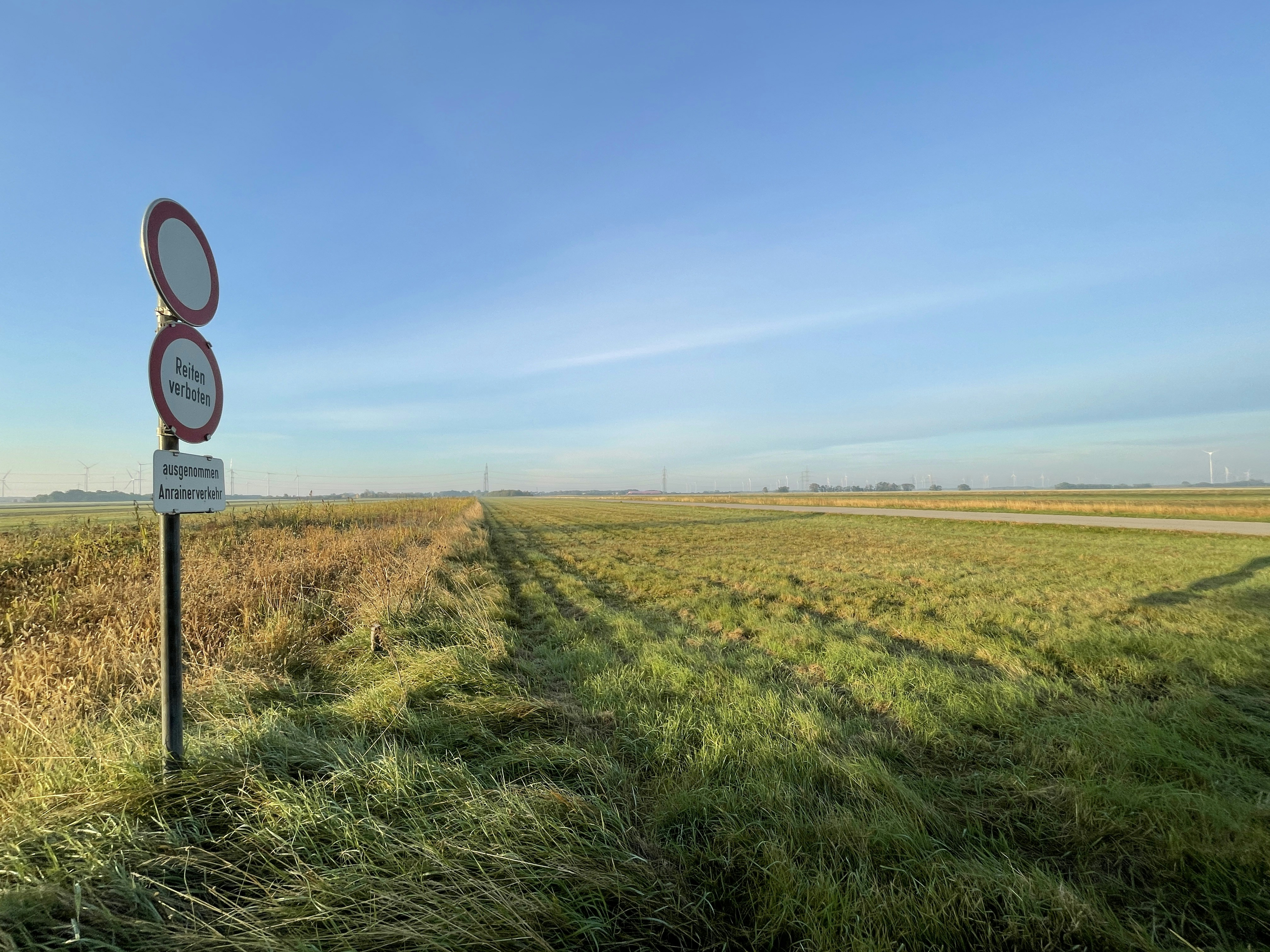 Borderline Quiet: A Lone Road Sign Over Golden Field