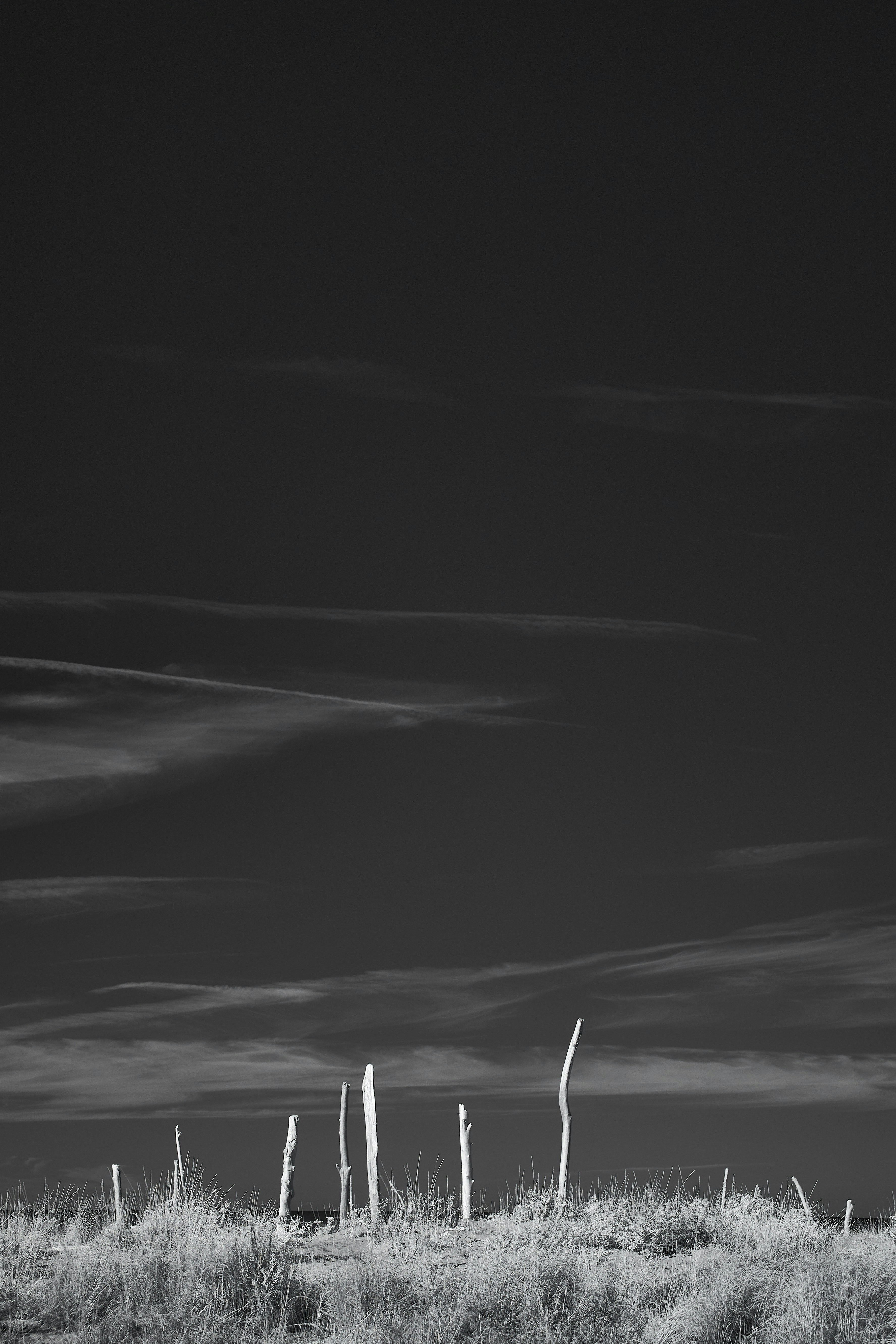 a field of grass and a body of water with a dark sky