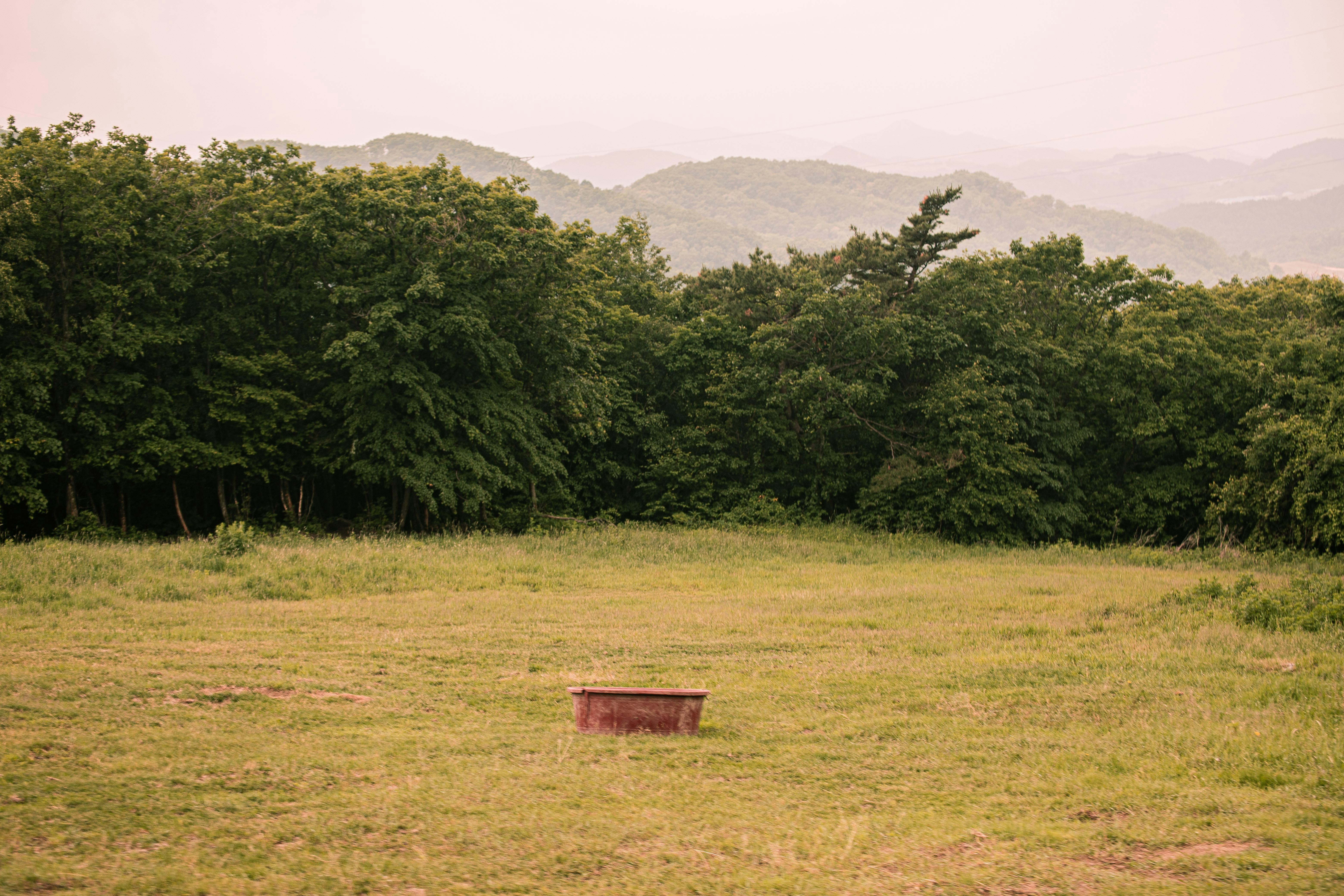 Red Bench in a Sunlit Meadow Framed by Distant Hills