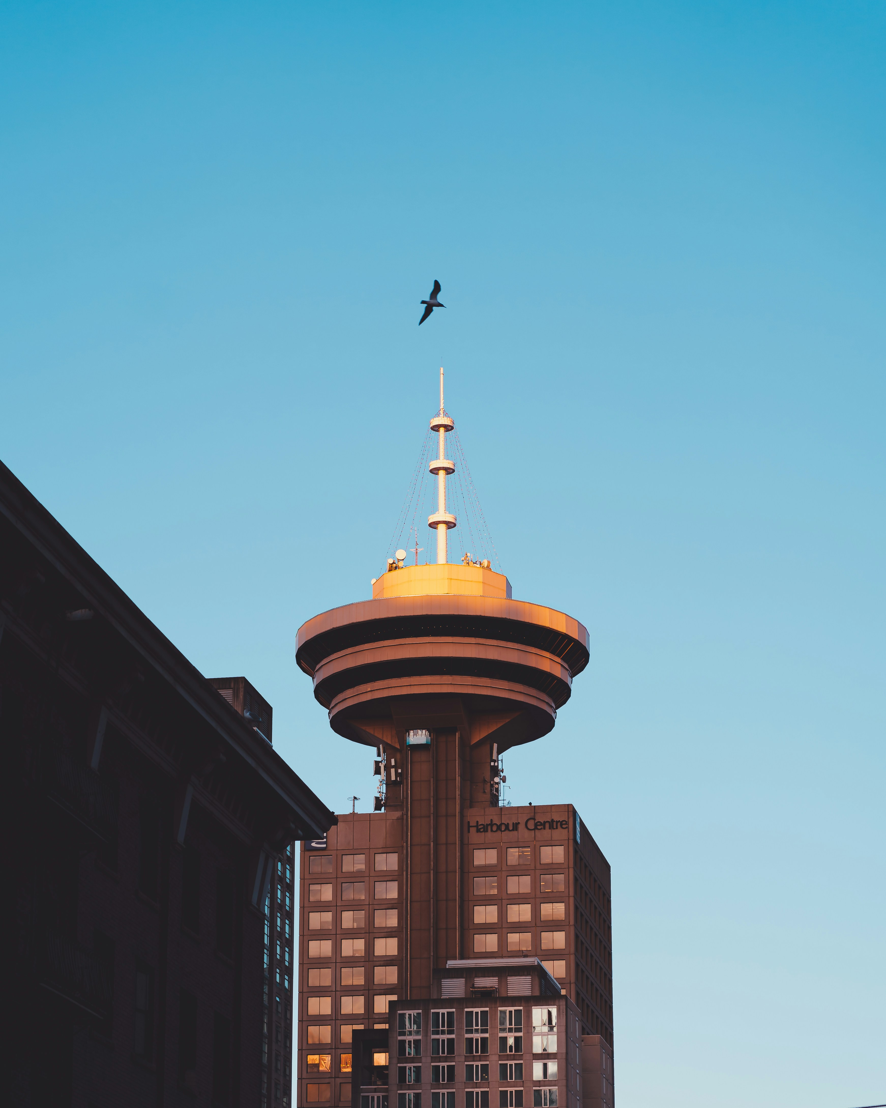 Harbour Centre Crown: Circular Deck Rising Over a Clear Blue City Sky