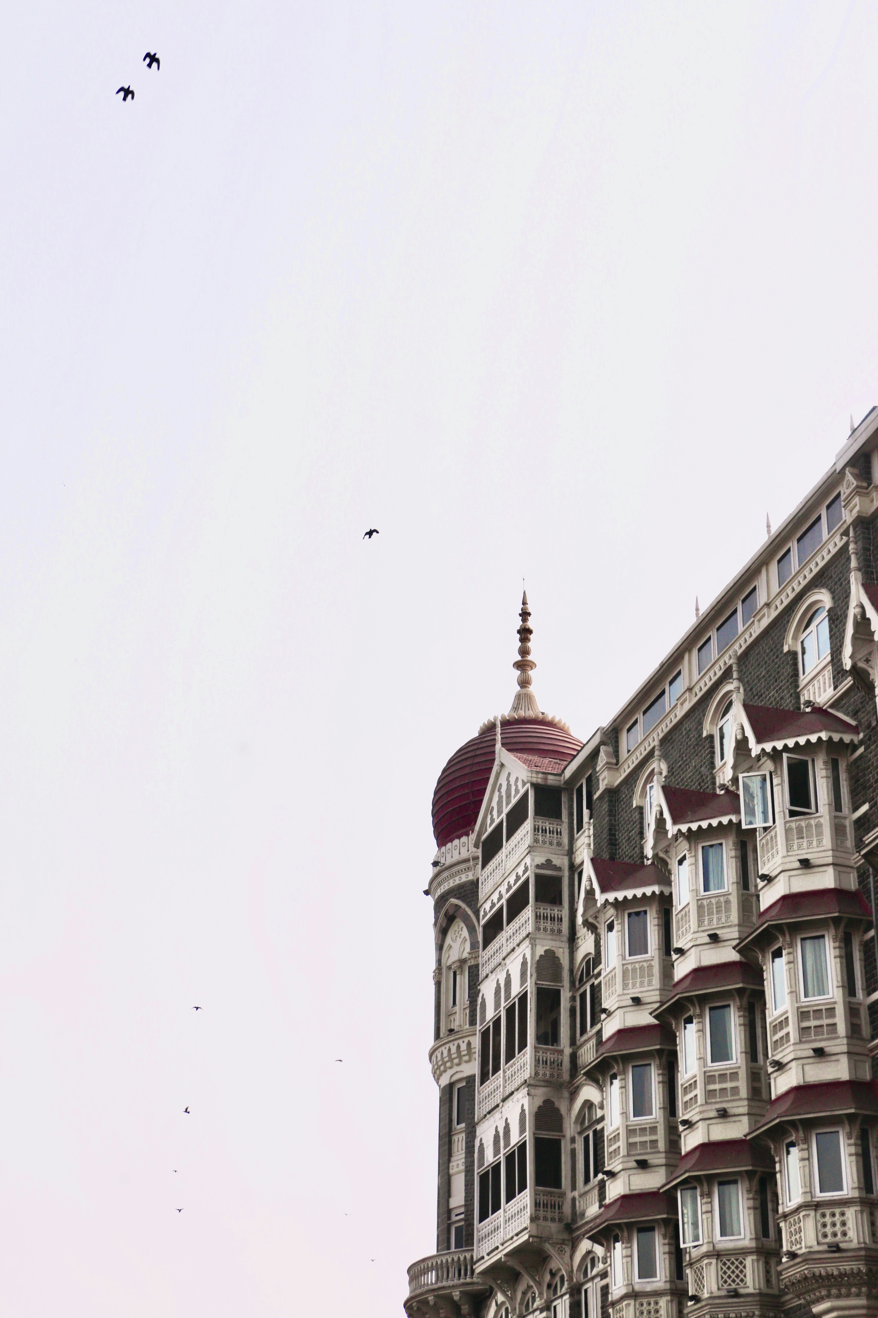 Historic building with intricate architecture and a distinctive red dome, set against a pale sky with birds in flight.