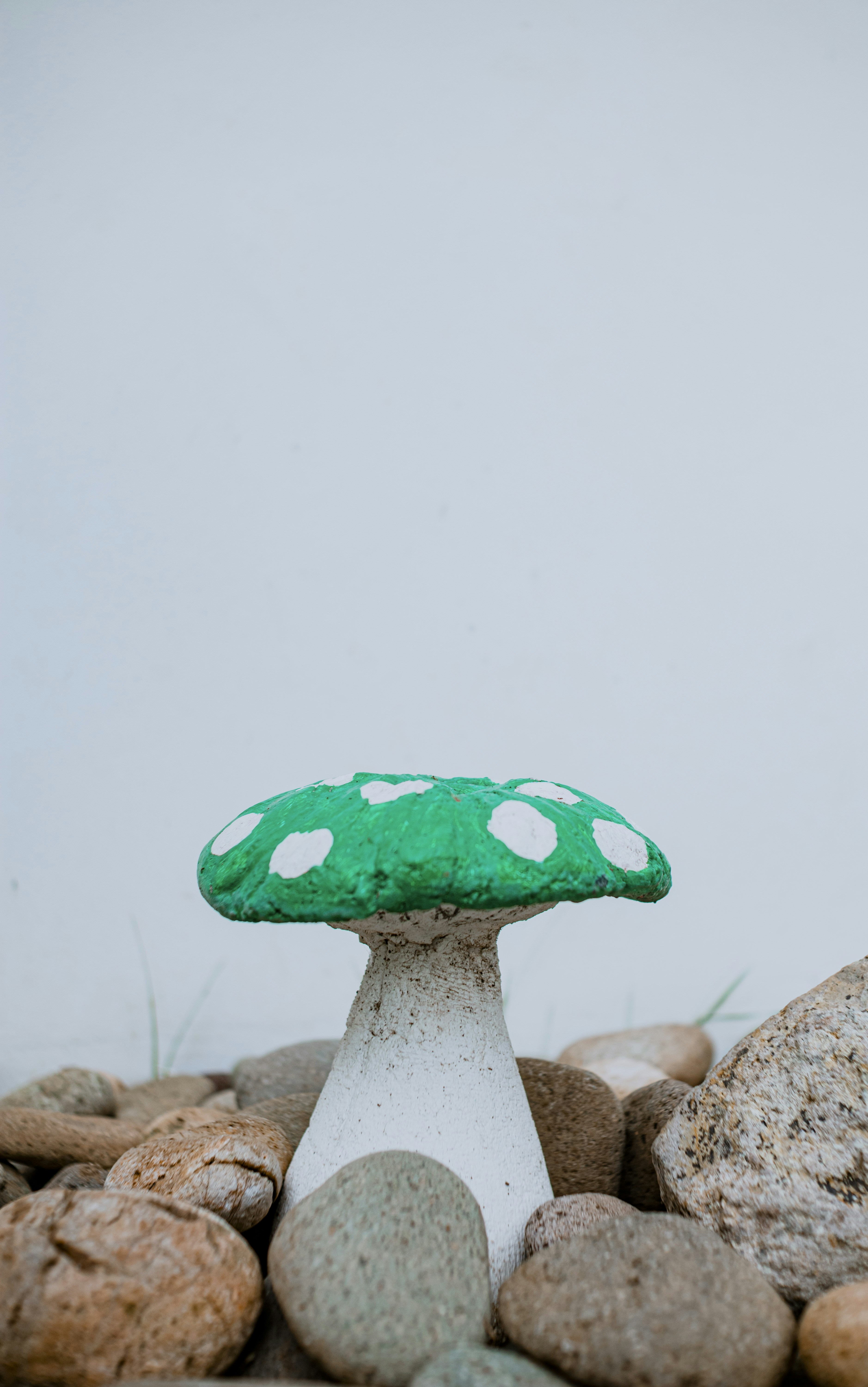 Emerald Polka-Dot Mushroom Among Pebbles