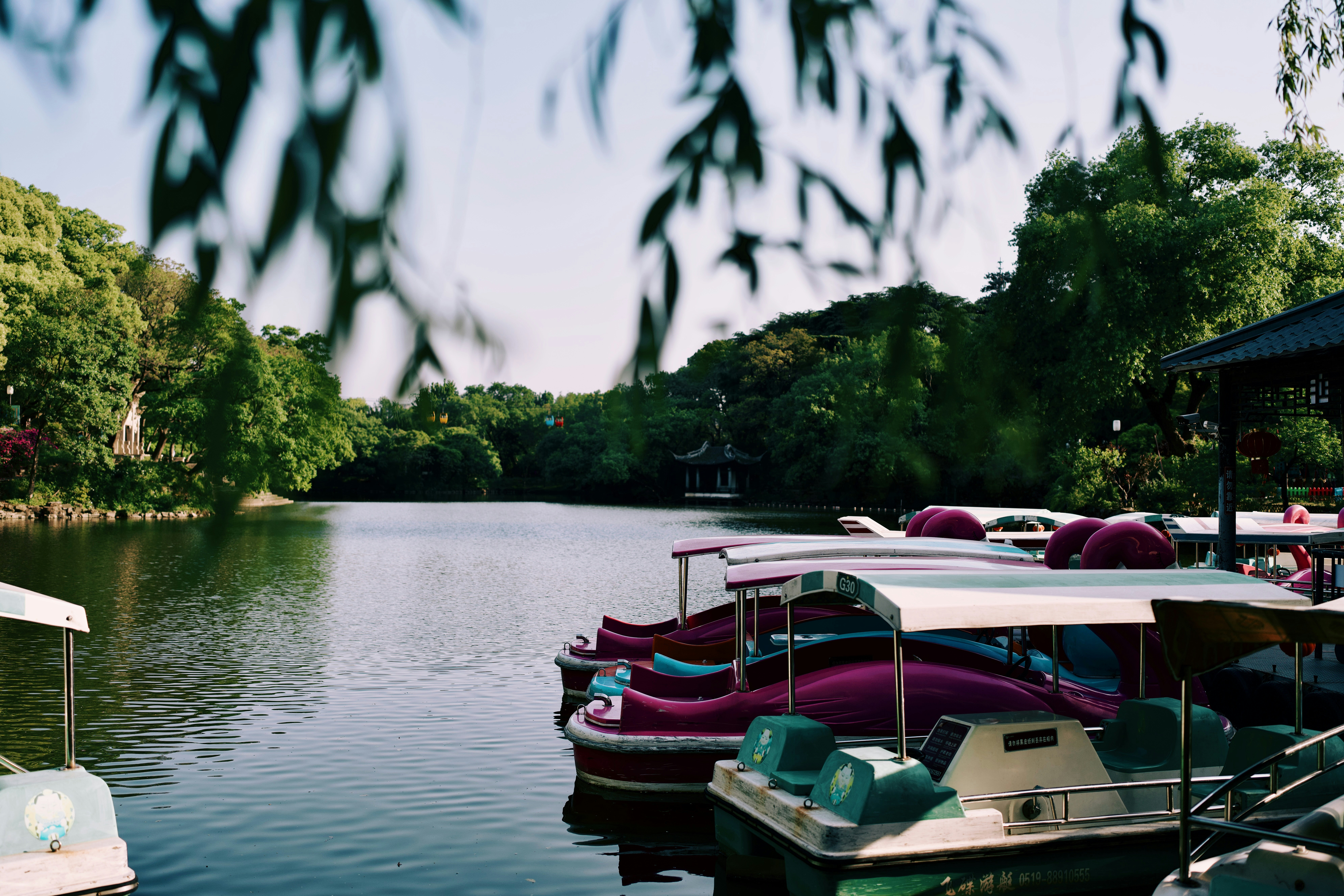 Foto Una fila de botes en un río – Imagen Agua gratis en Unsplash