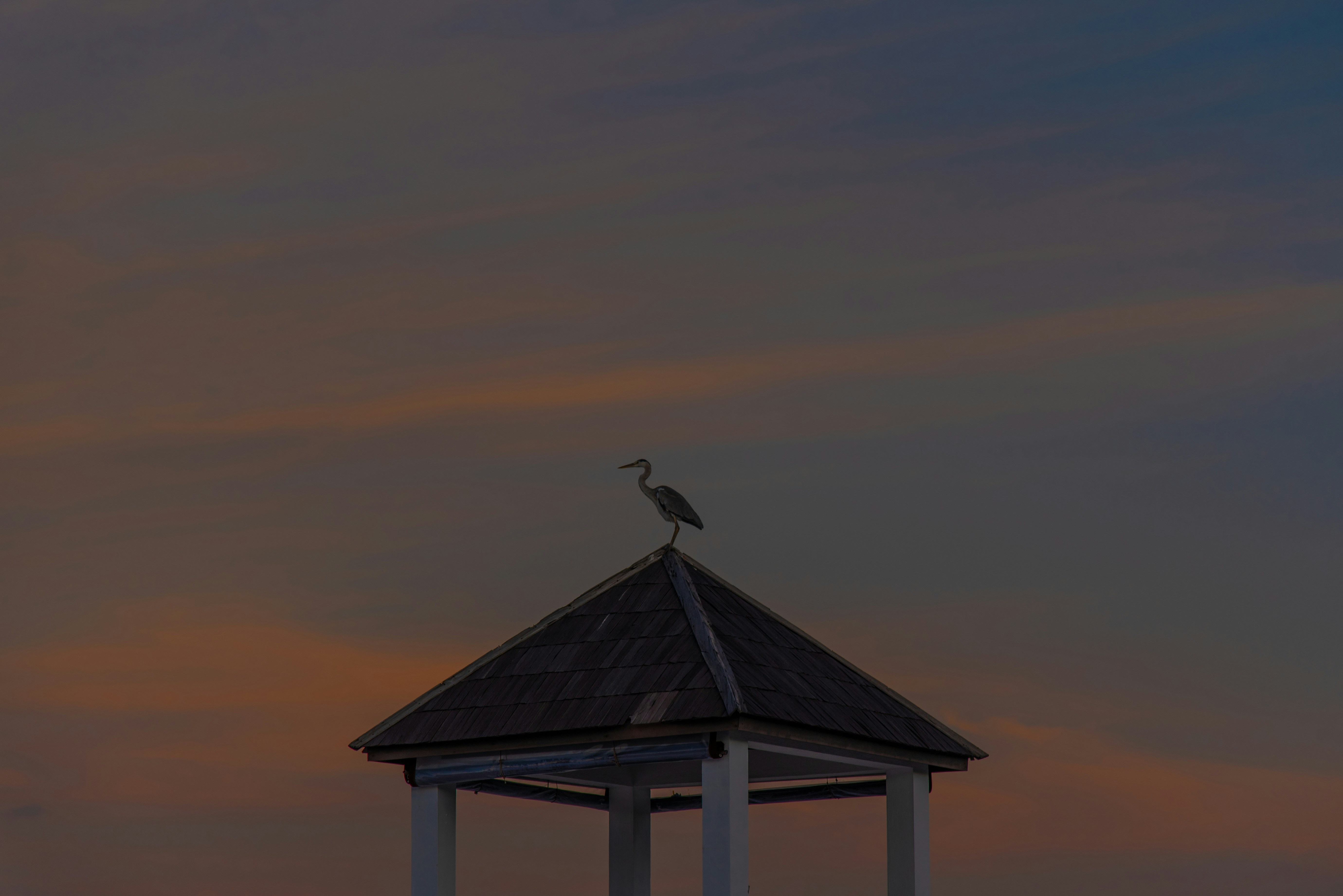 Heron on the Pier at Dusk