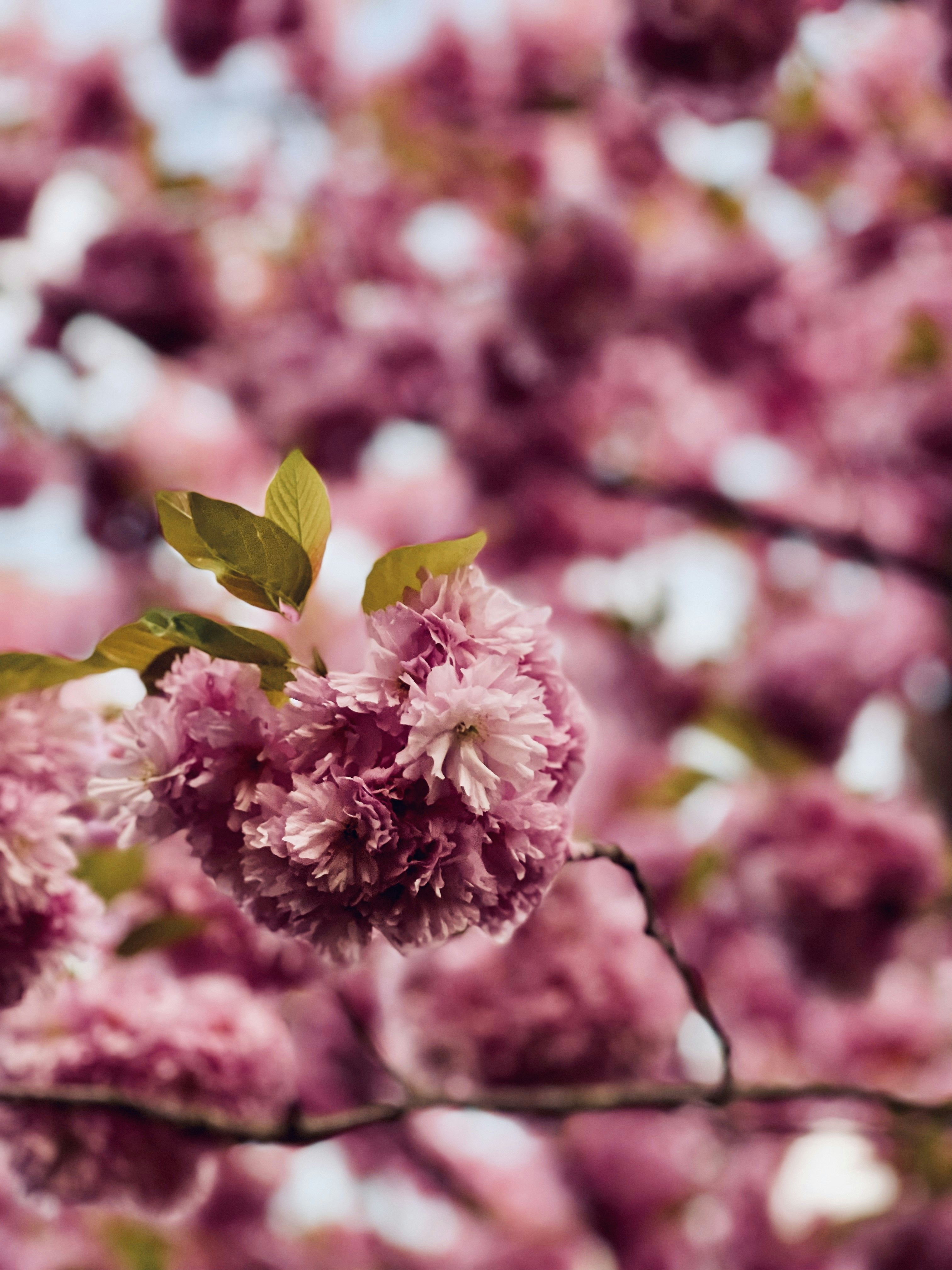 Floh Keitgen (@flohkeitgen) | Unsplash 사진 커뮤니티