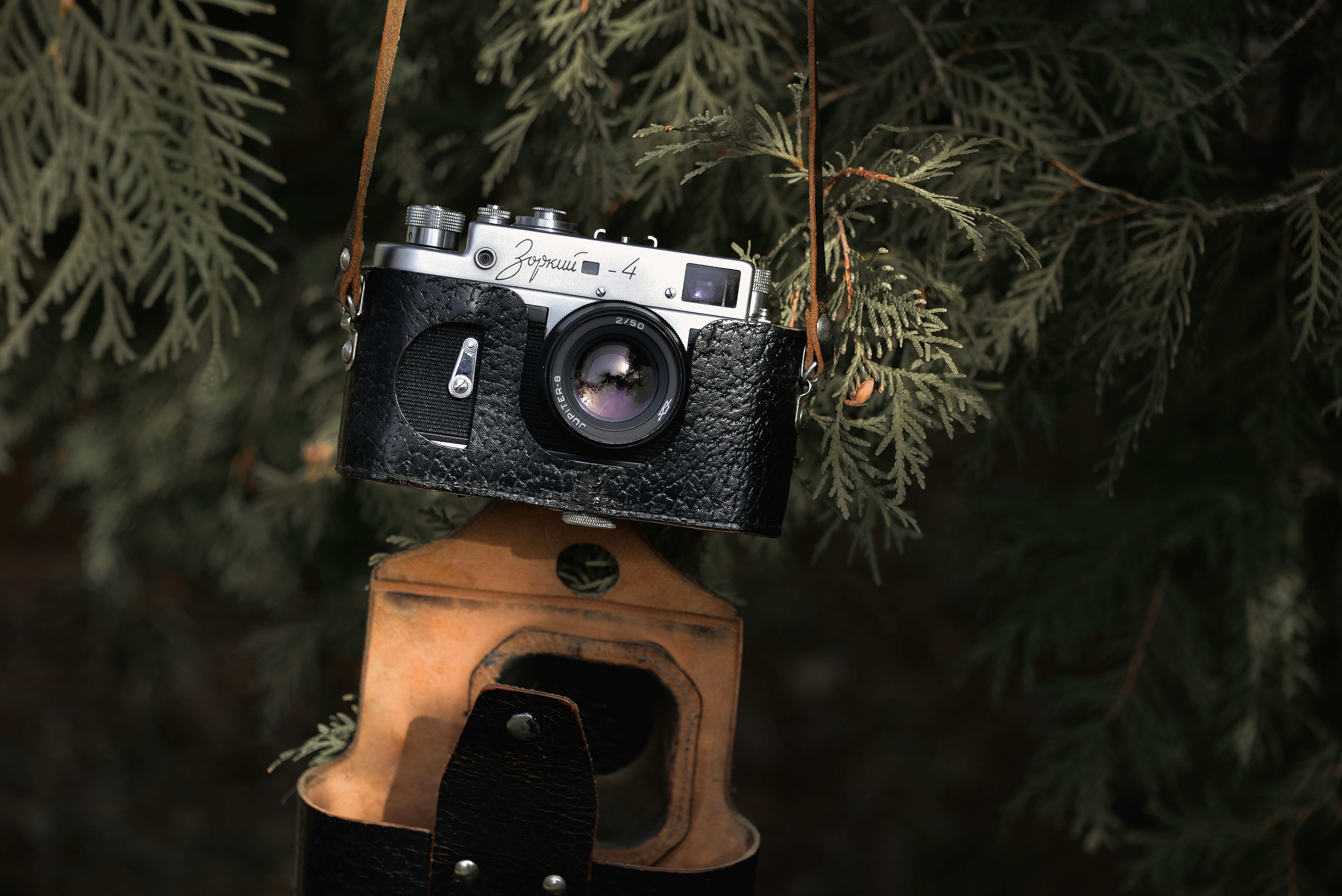 a camera on a tree