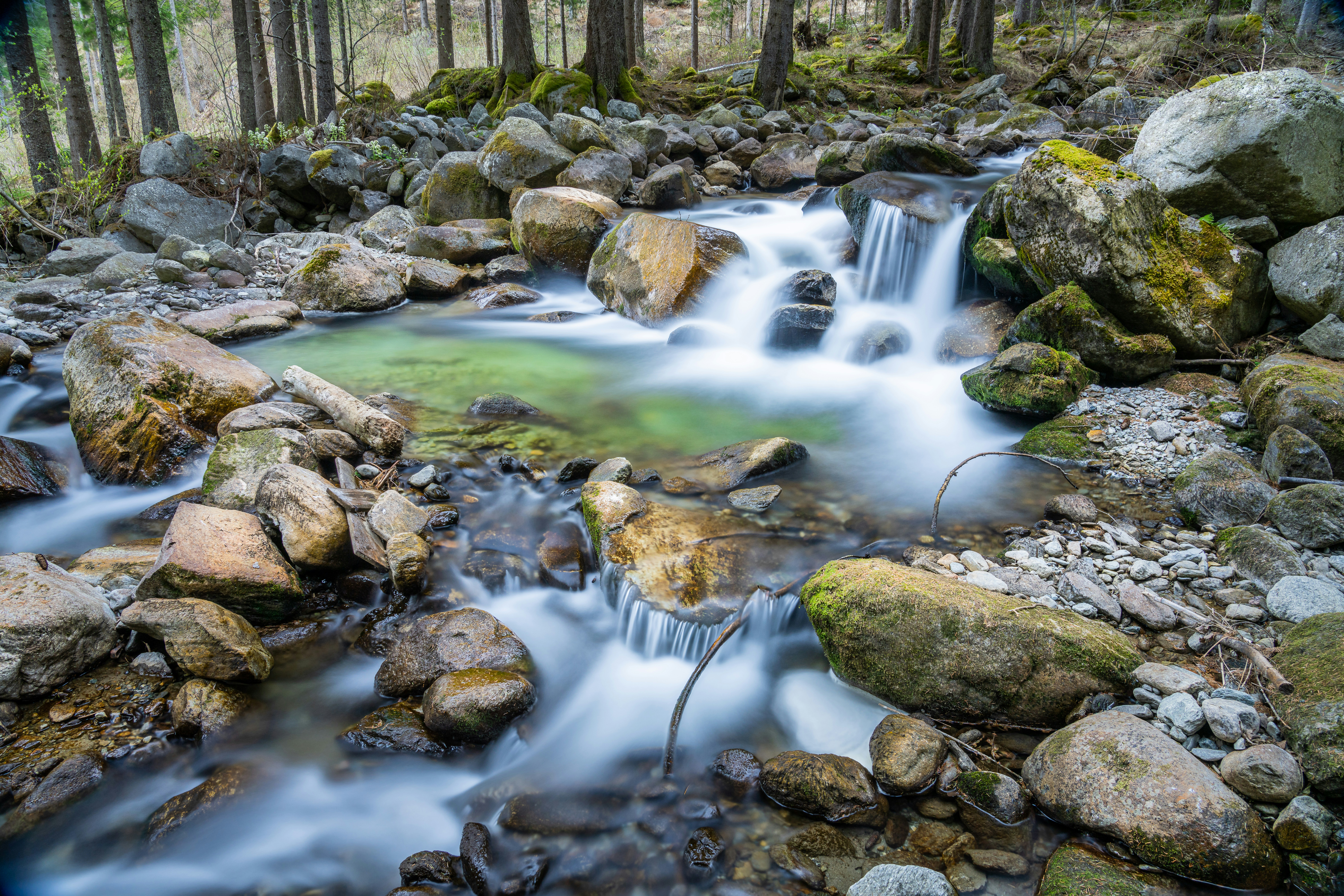 Gentle waterfall cascading over moss-covered rocks in a serene woodland setting.