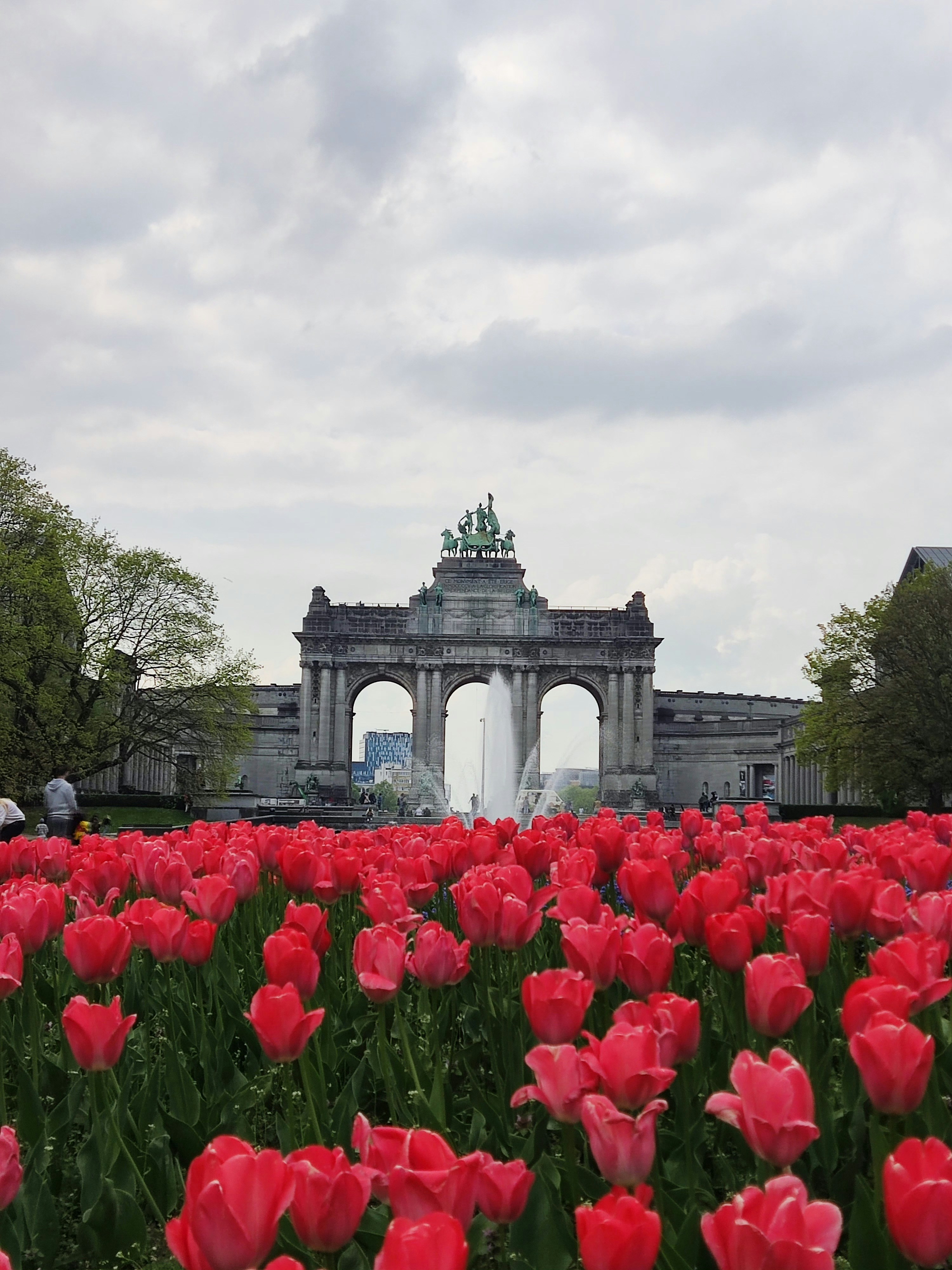 Crimson Tulips Framing a Neoclassical Triumph Arch
