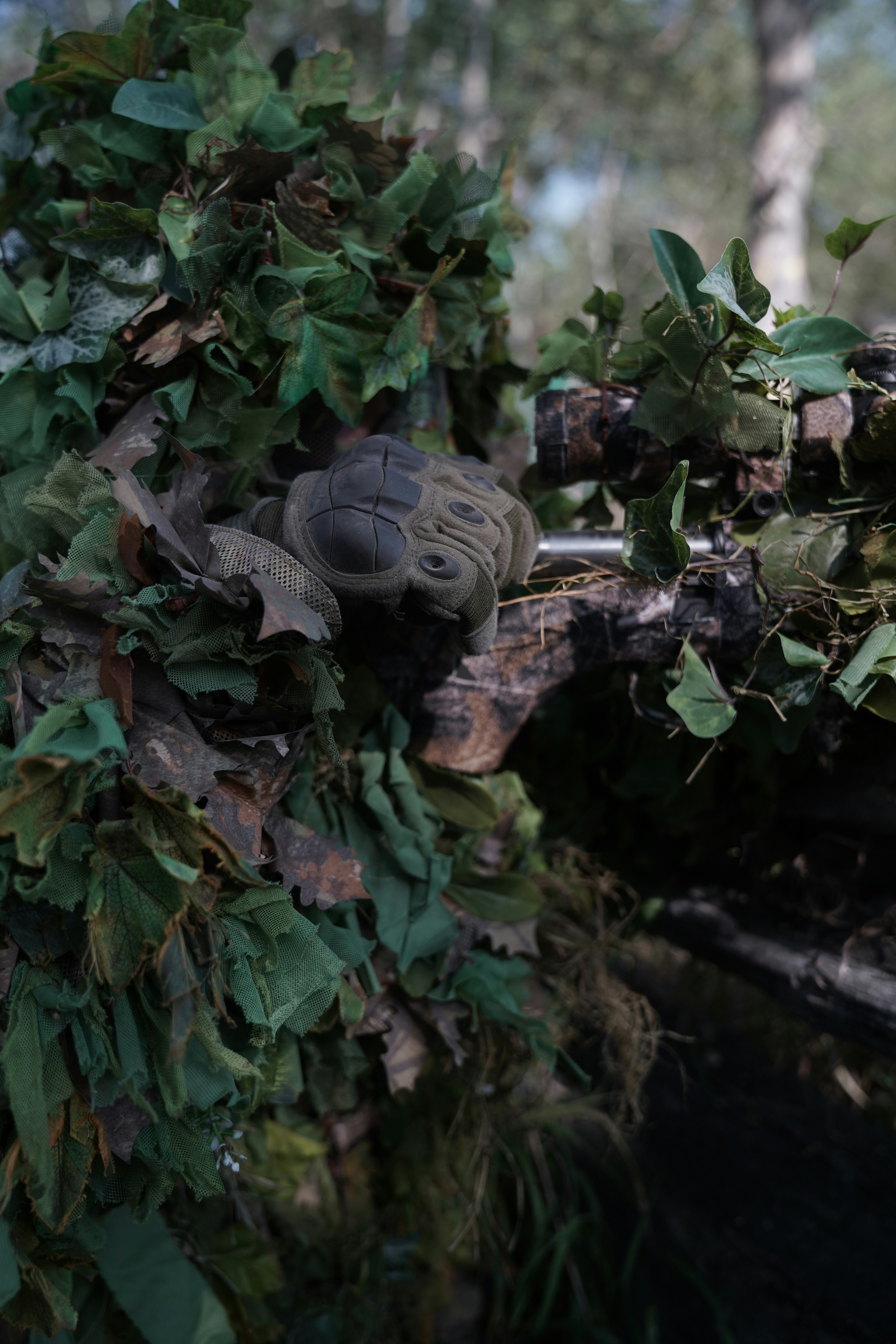 A tactical glove partially hidden among leaves and branches, showcasing effective camouflage techniques in a natural setting.