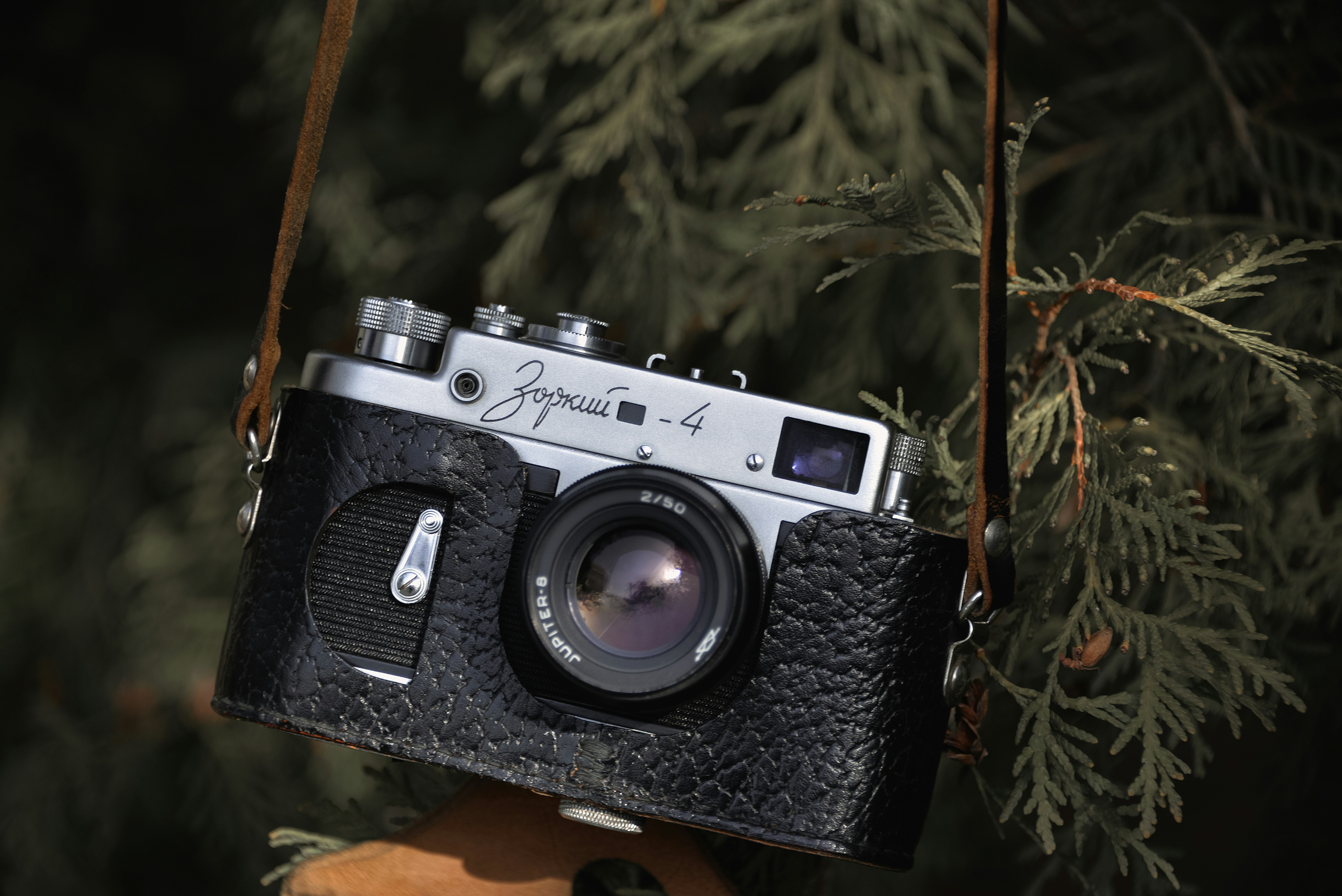 Retro Rangefinder Suspended in Evergreen Grief
