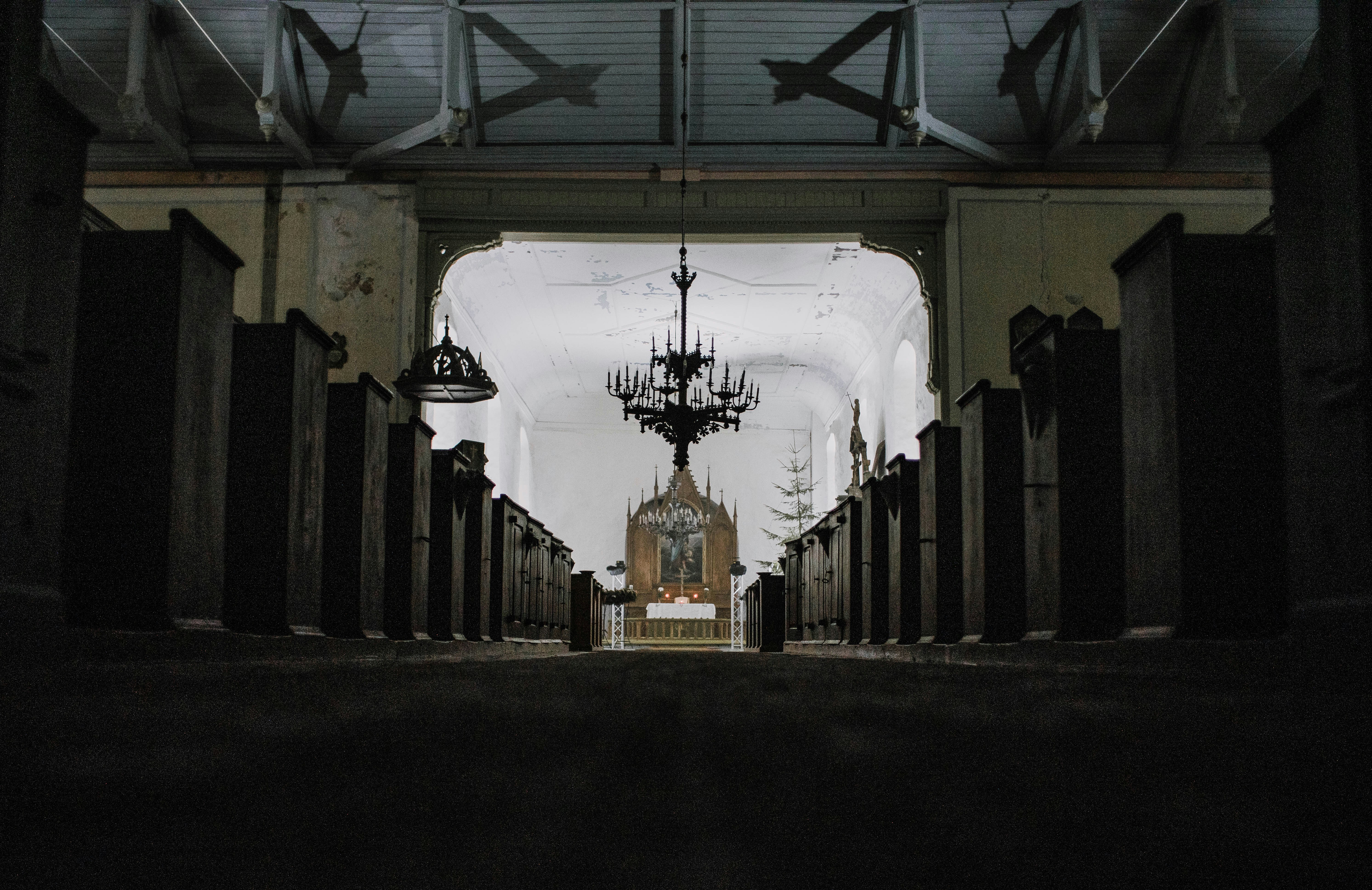 Aisle to Illumination: The Distant Altar in a Cathedral of Shadows
