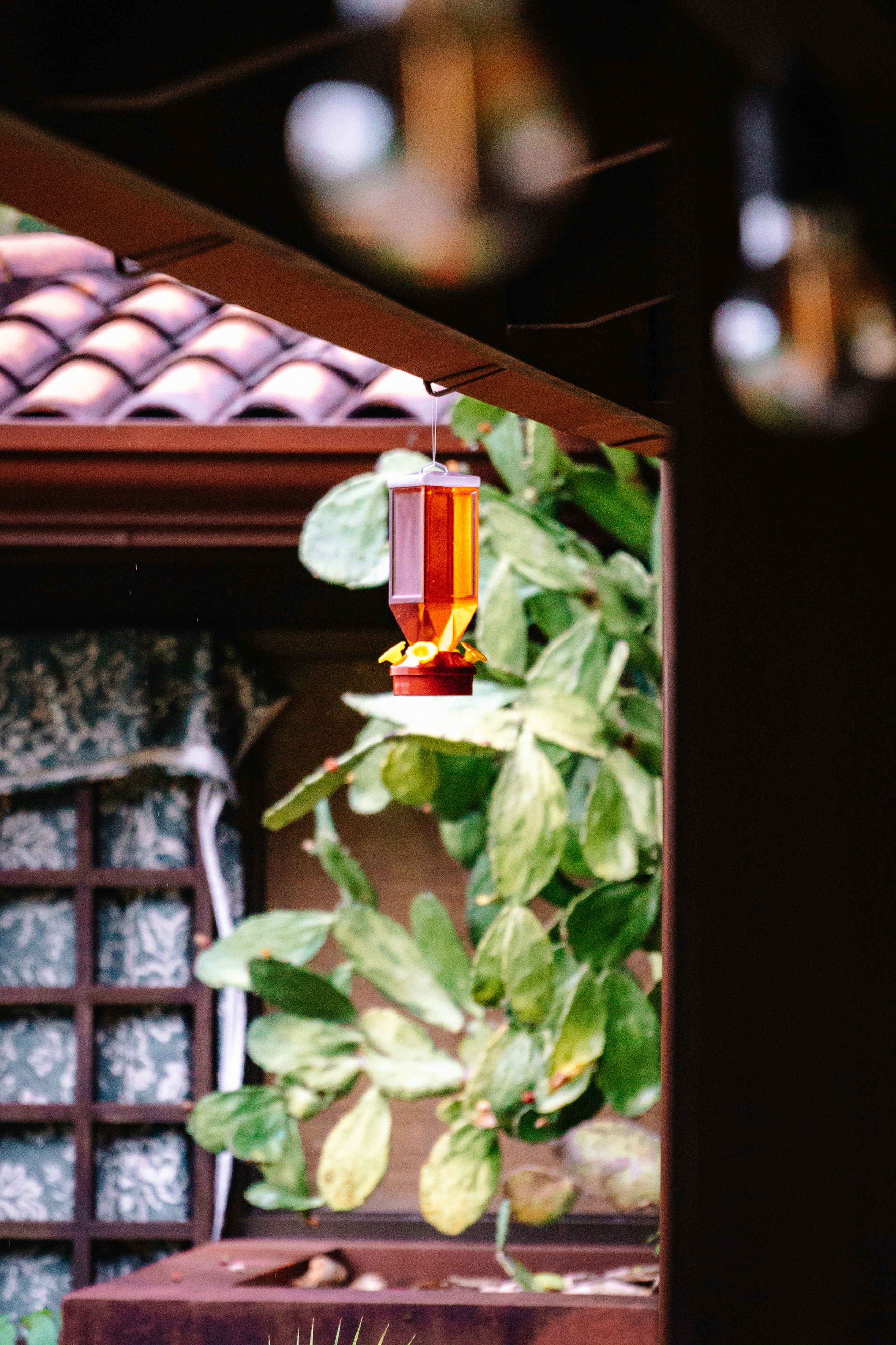 Amber Lantern in a Courtyard Glow