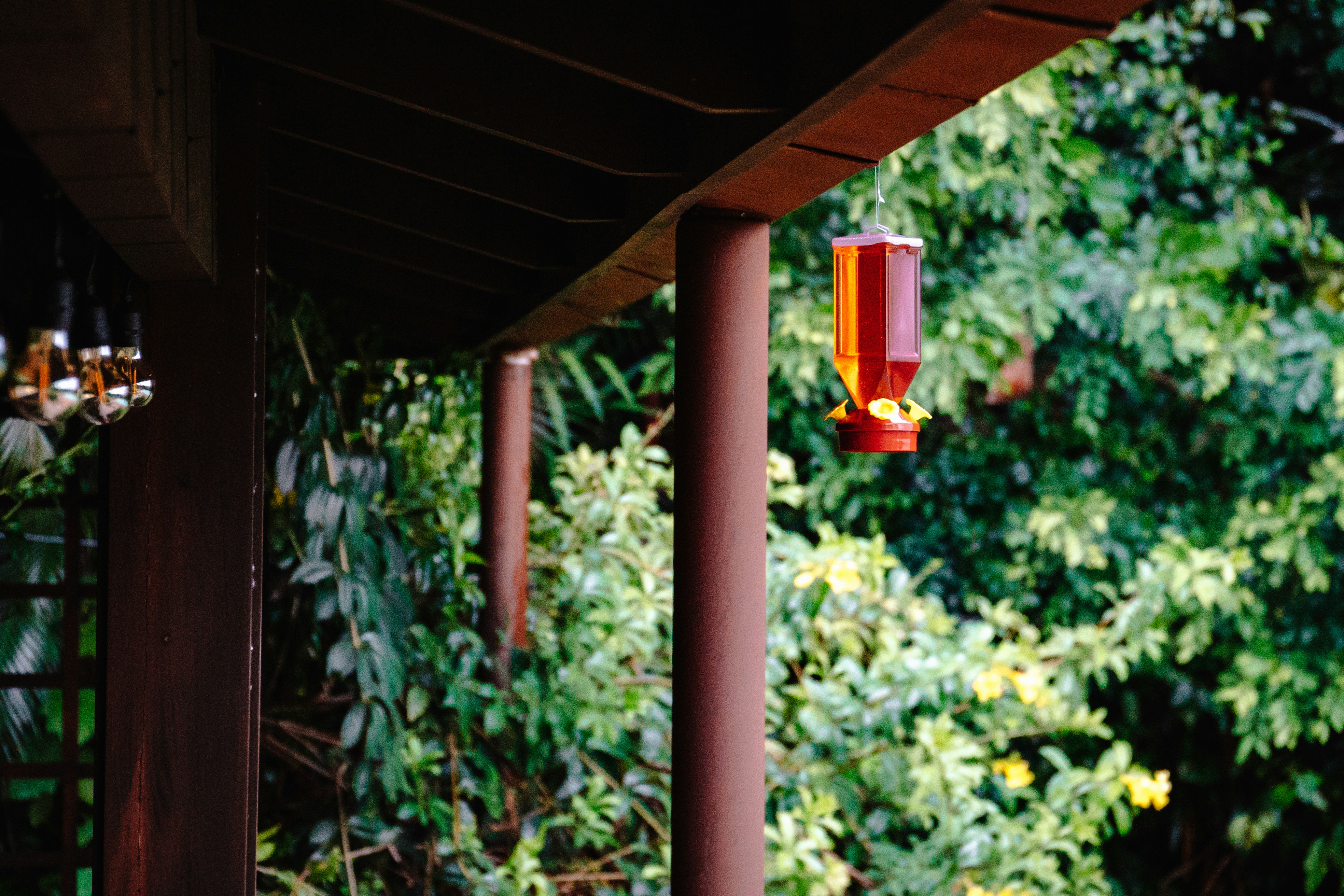 A lantern from a pole photo – Free Costa rica Image on Unsplash