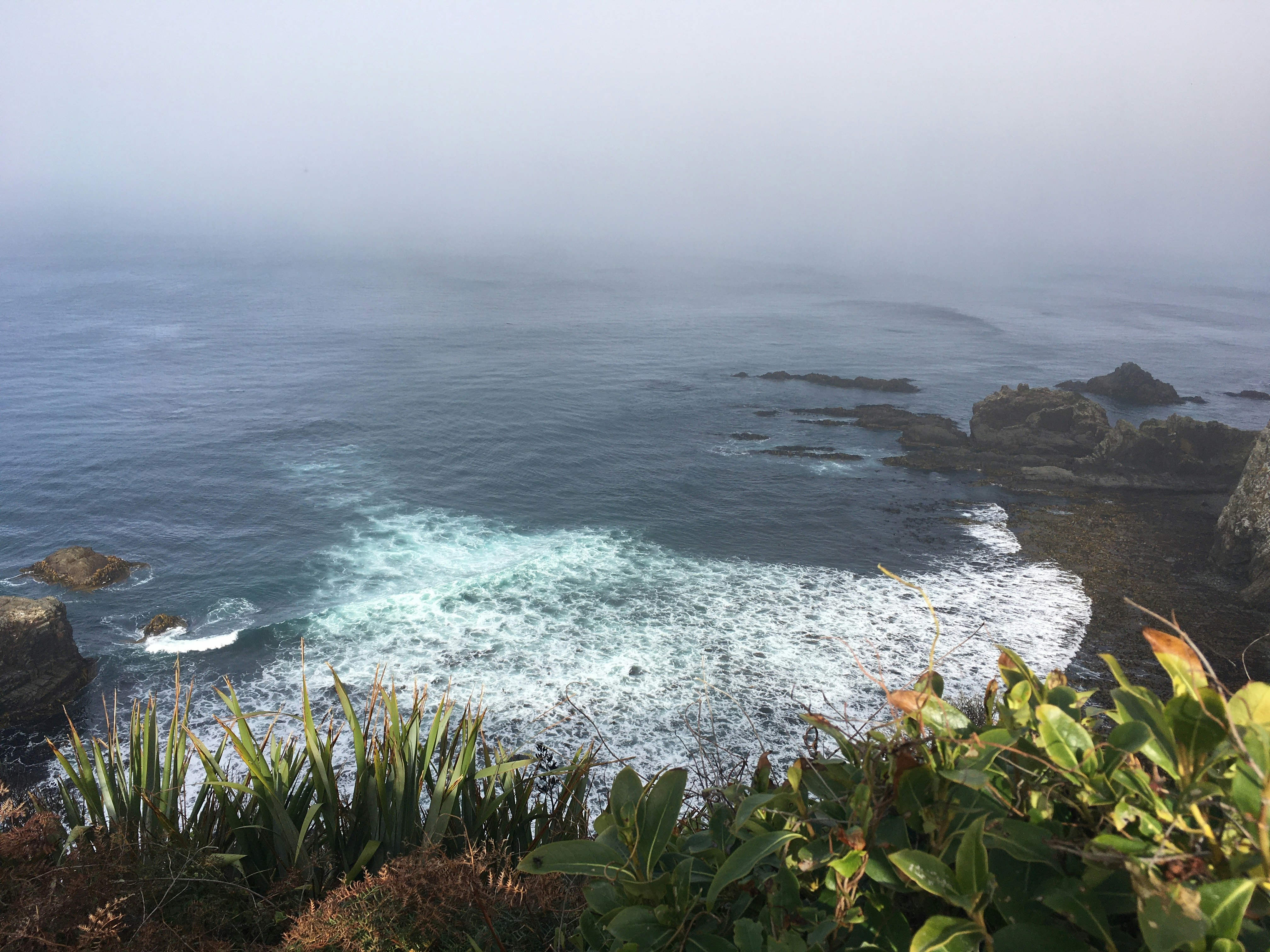 Siau-Jiun Lim (@siaujiunlim) | Unsplash Photo Community