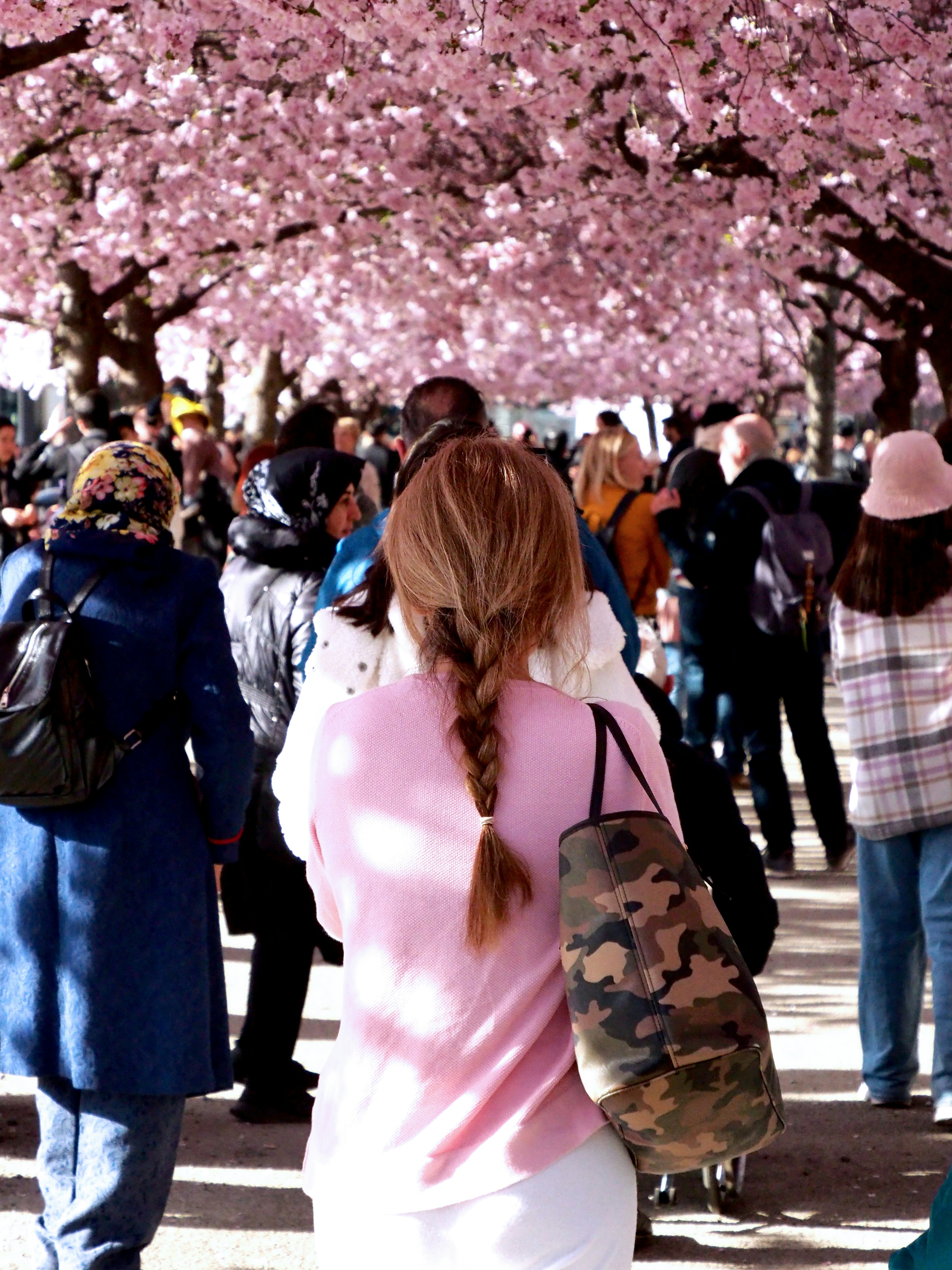 Braided Back in Pink Amid a Cherry Blossom Crowd