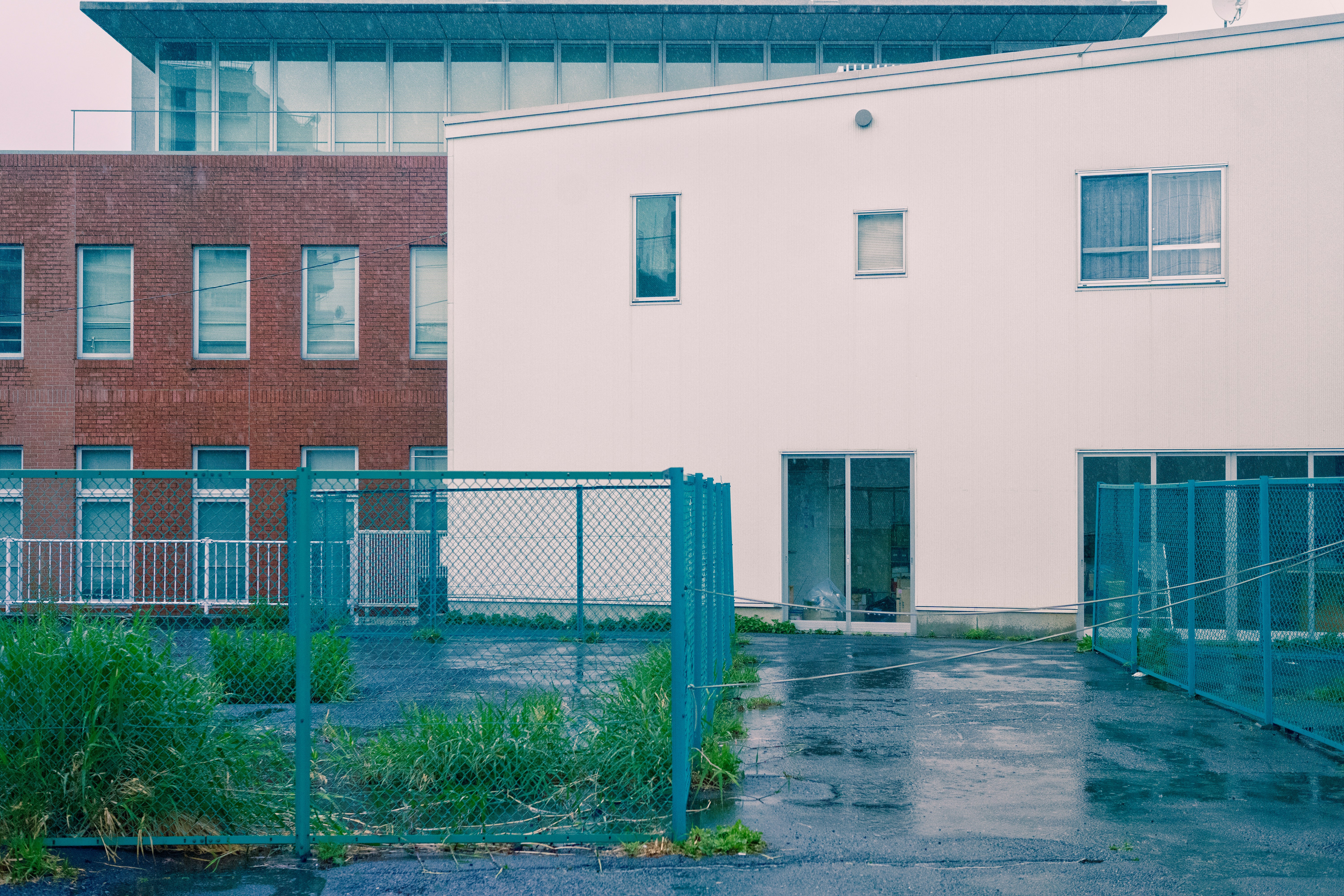 A juxtaposition of modern and traditional architecture, featuring a white building beside a red brick structure, with a rain-soaked foreground and overgrown greenery.
