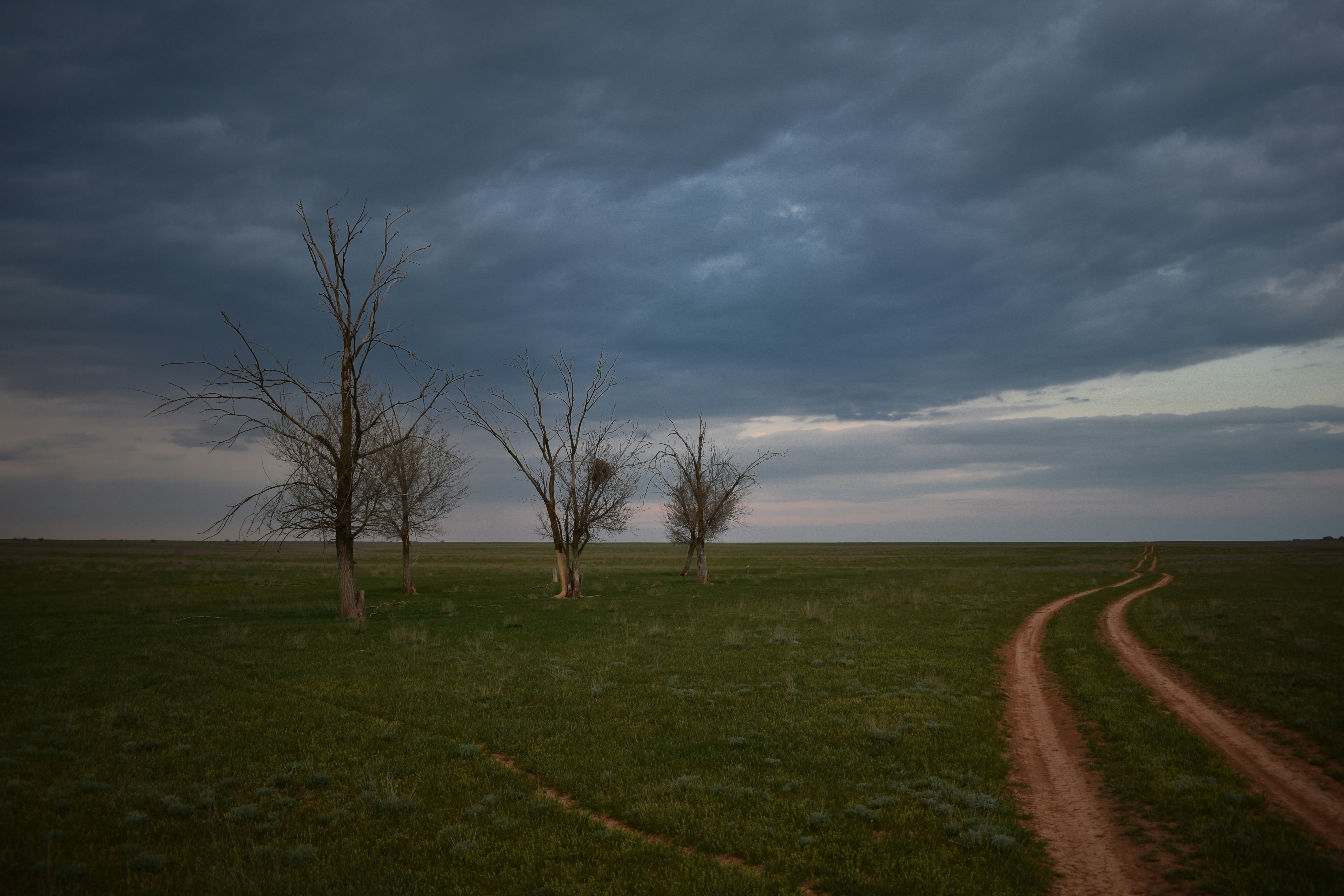 Winding dirt road leading through a vast grassy steppe under a moody, cloud-filled sky at dusk.
