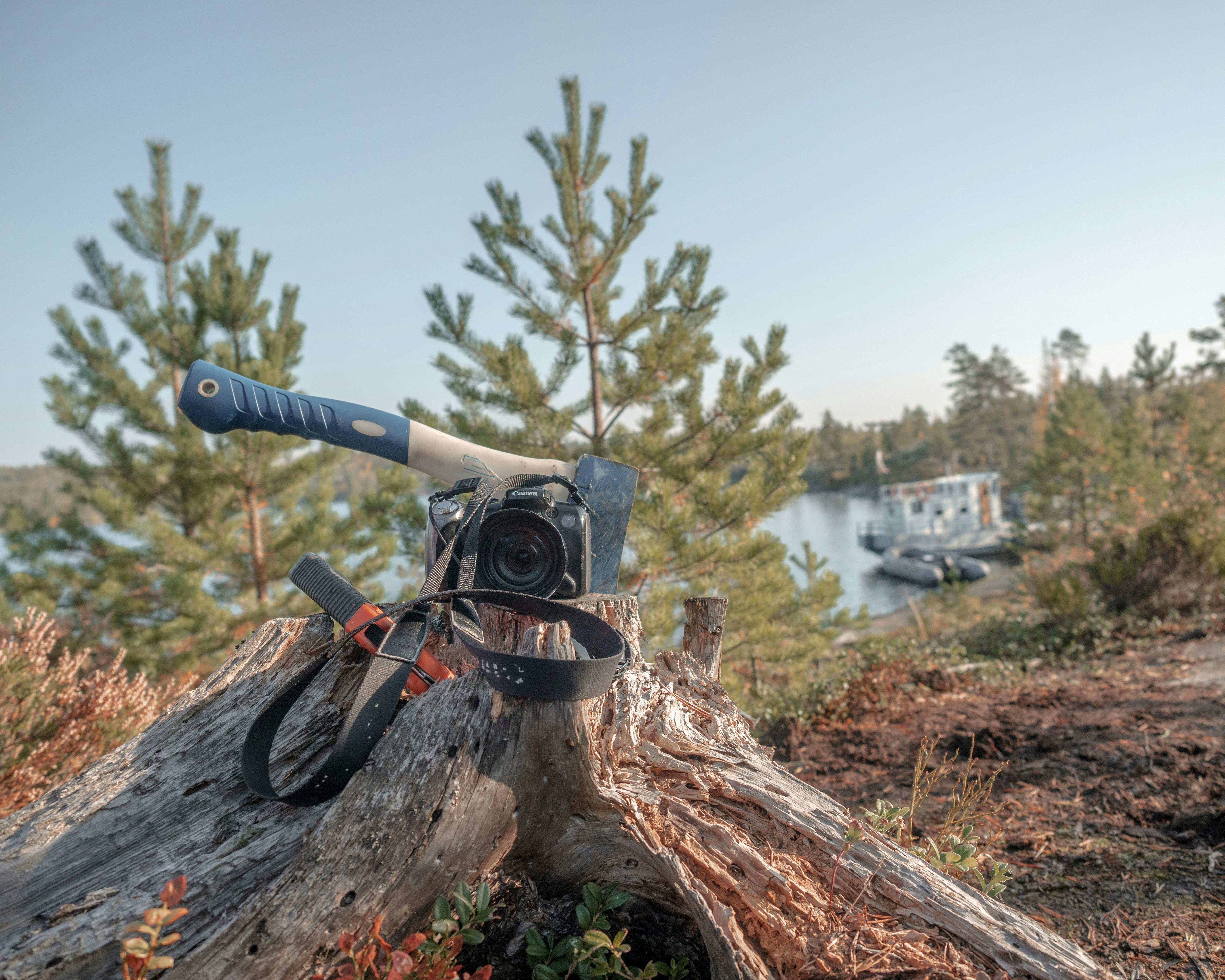 Logbound Lens: A Camera Resting Amid Pines Over a Quiet Lakeshore