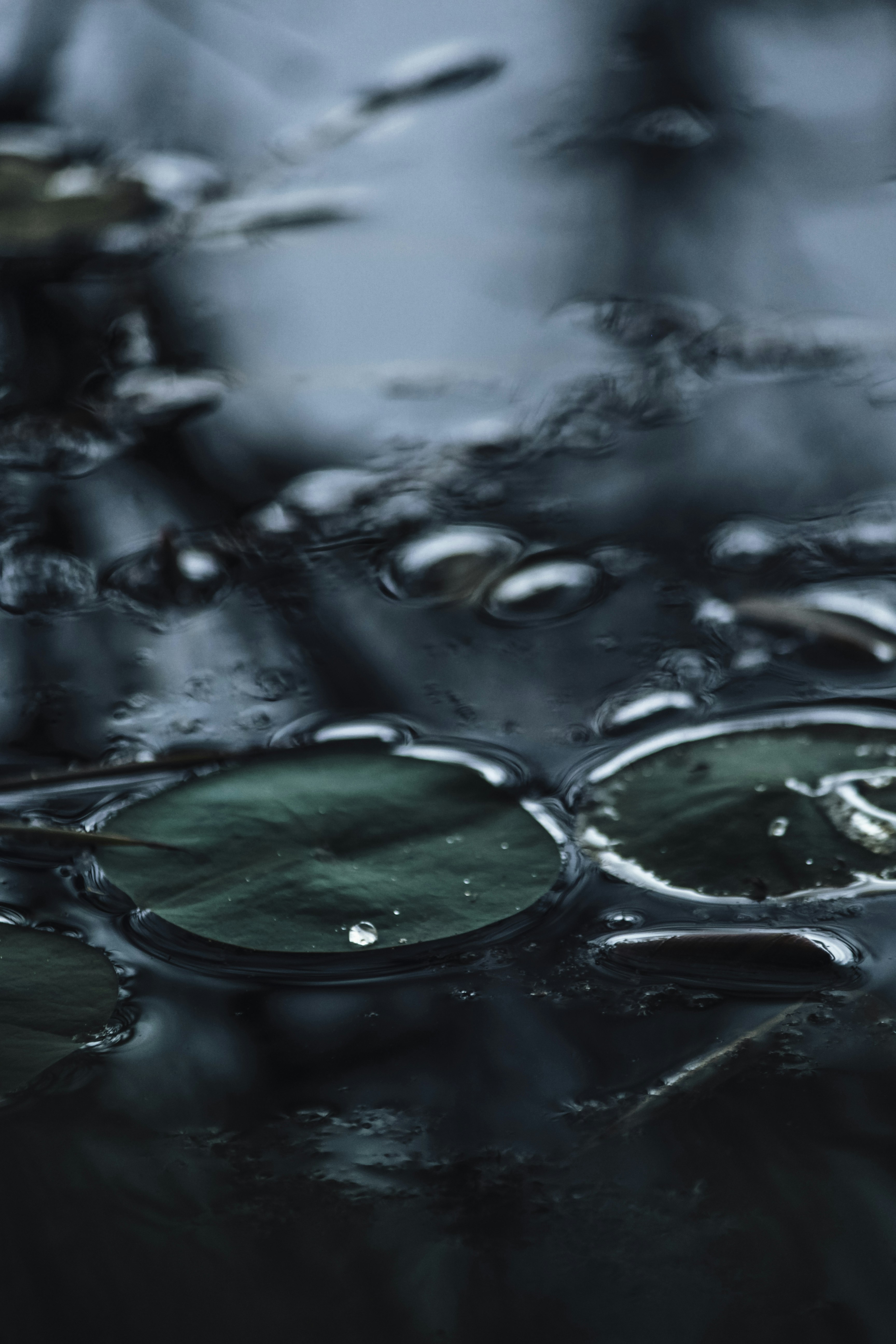 Water droplets on a surface photo – Free Water drop Image on Unsplash
