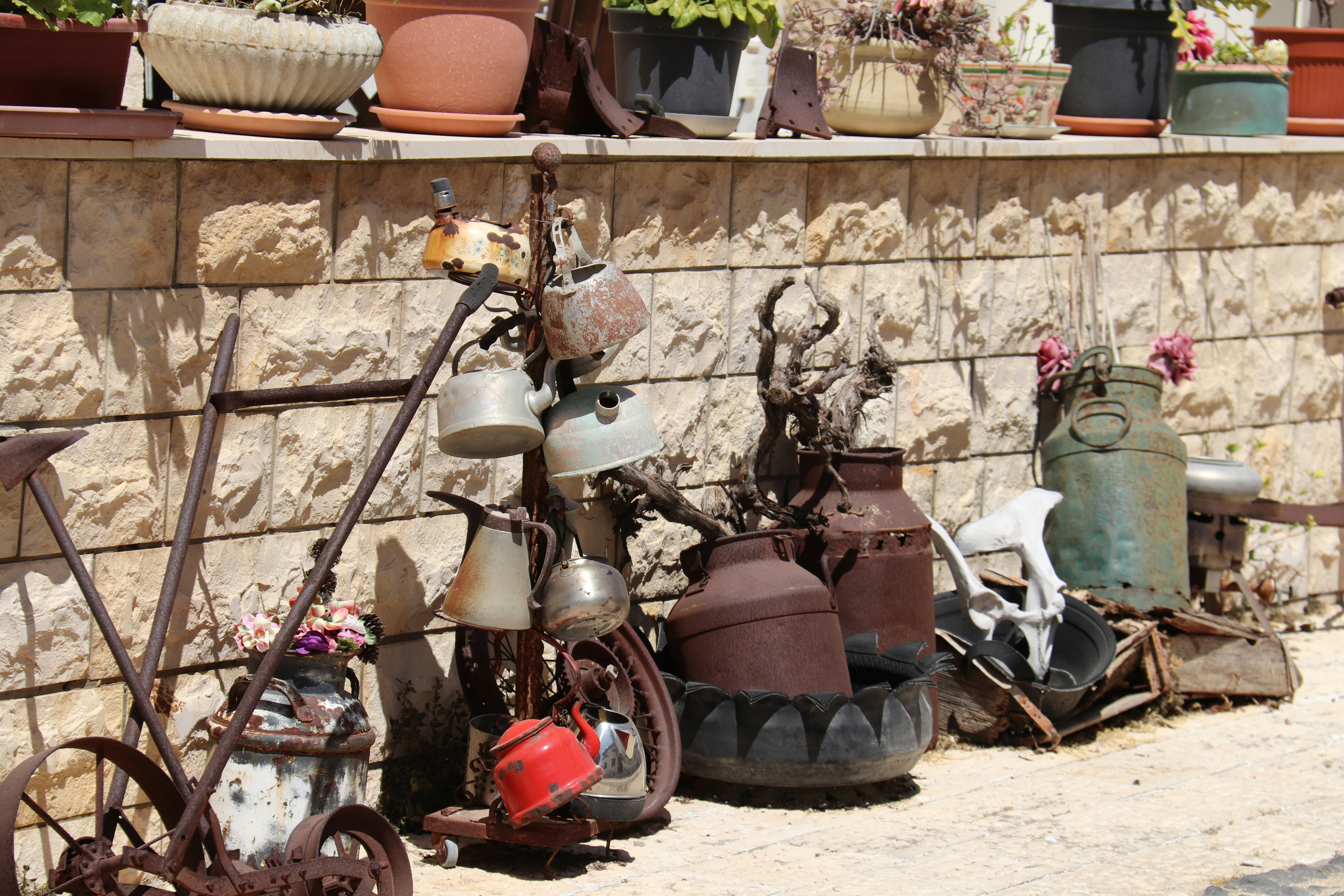 A Rusted Menagerie: Sunlit Hardware Keepsake Horizon