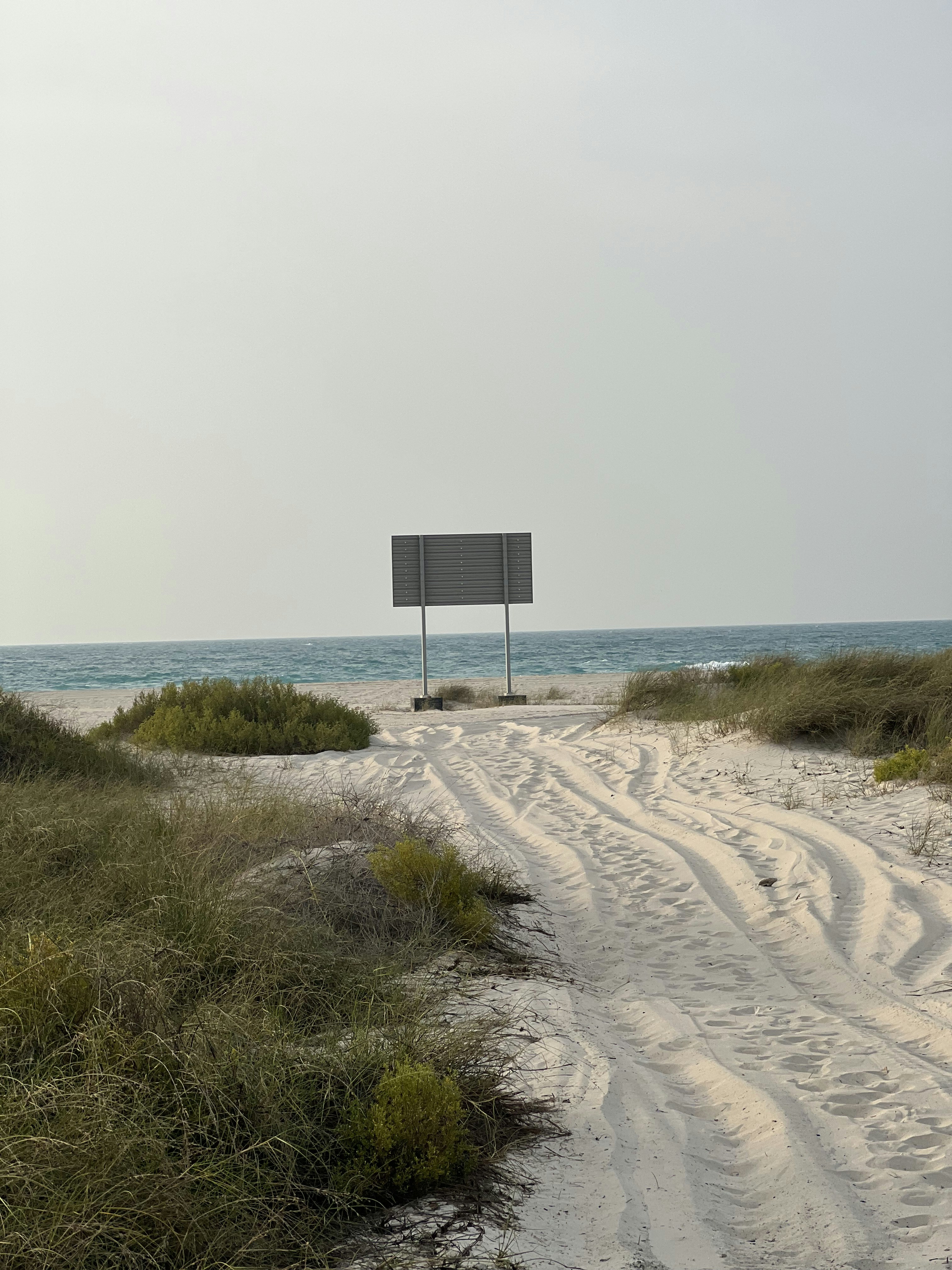 Dune Path to the Horizon: Lone Signboard by the Sea