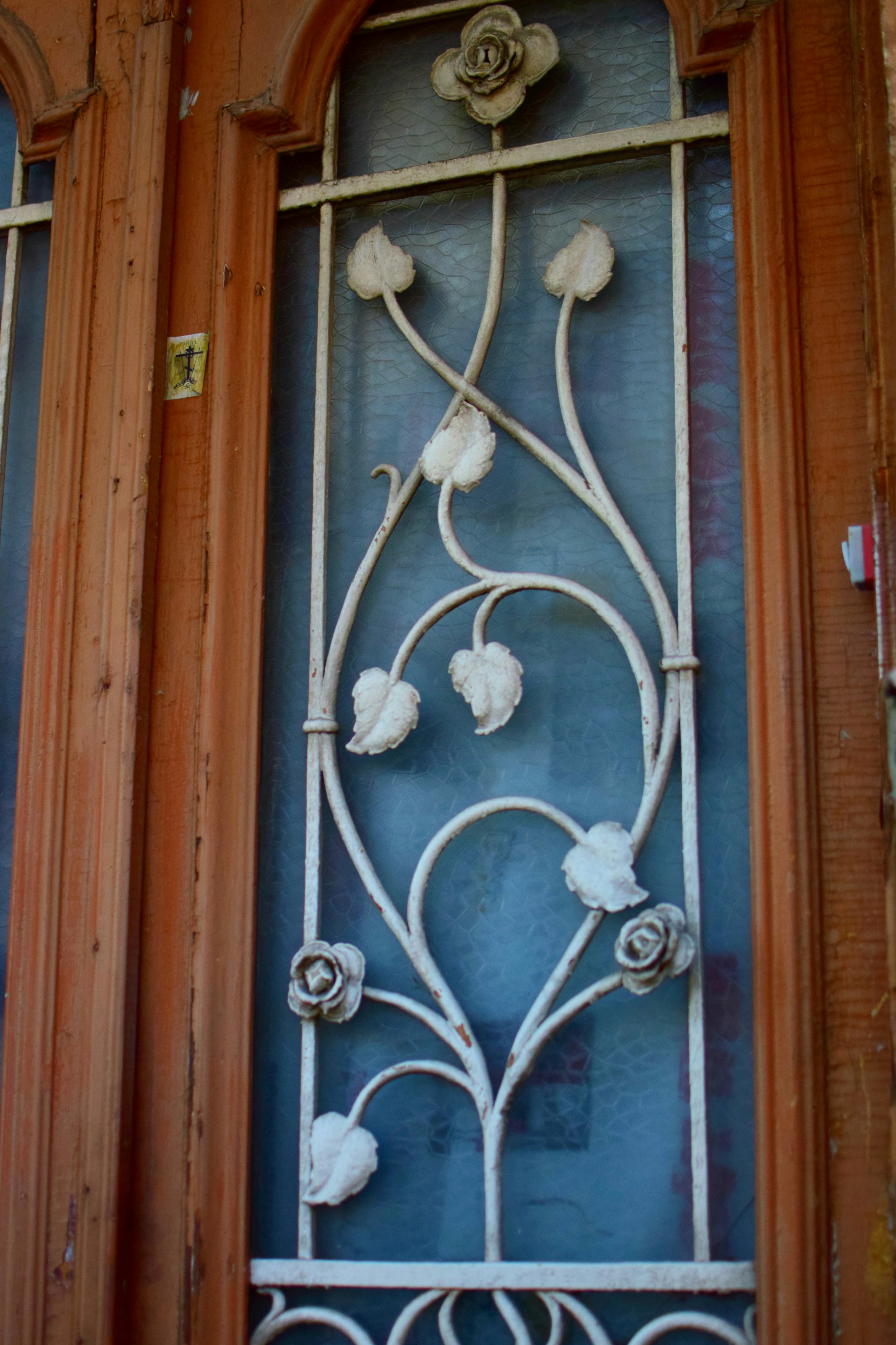 Photo by Nina Matcharashvili with Nikon D5300