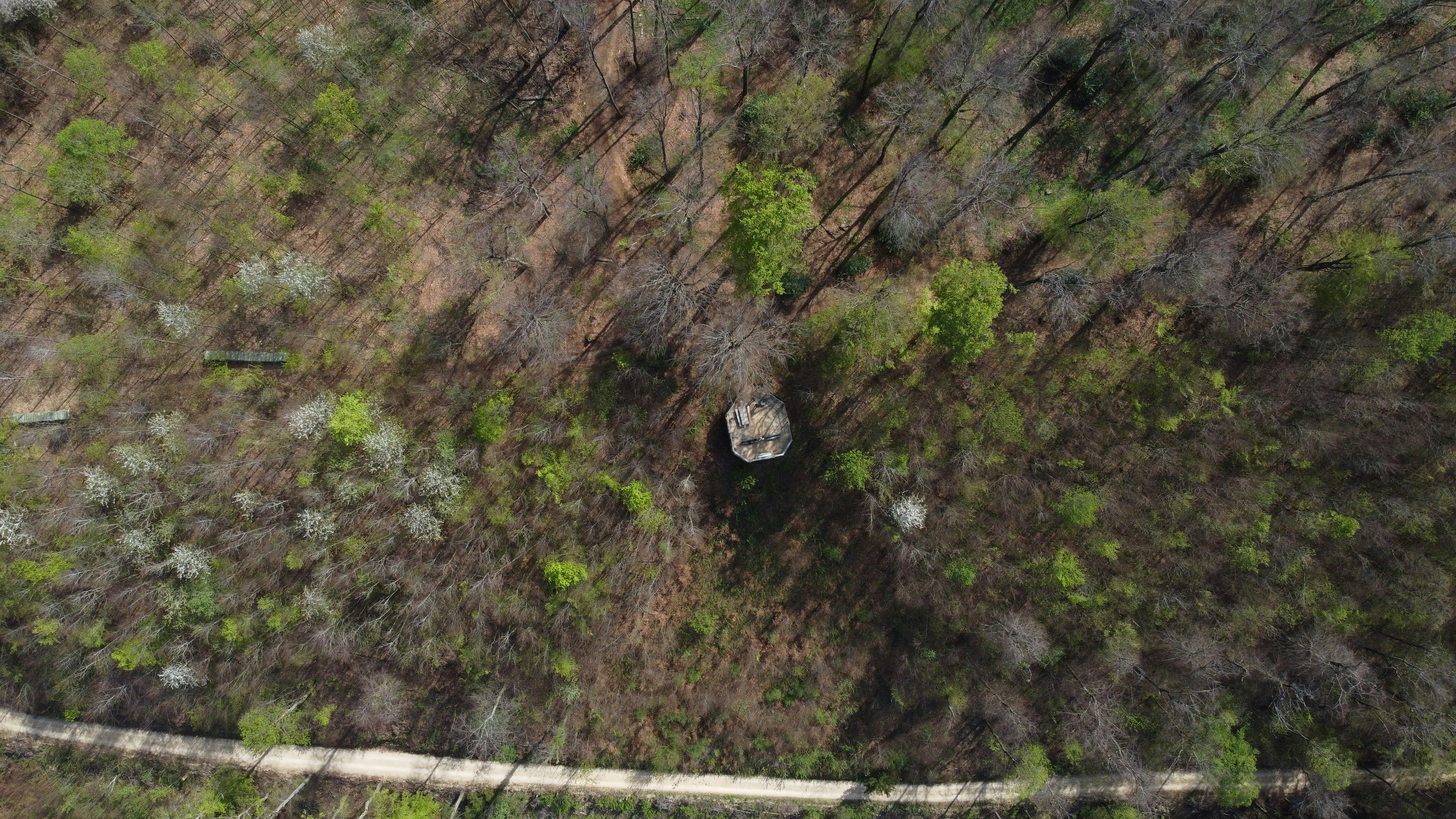 Suny Photos | Télécharger des images gratuites sur Unsplash