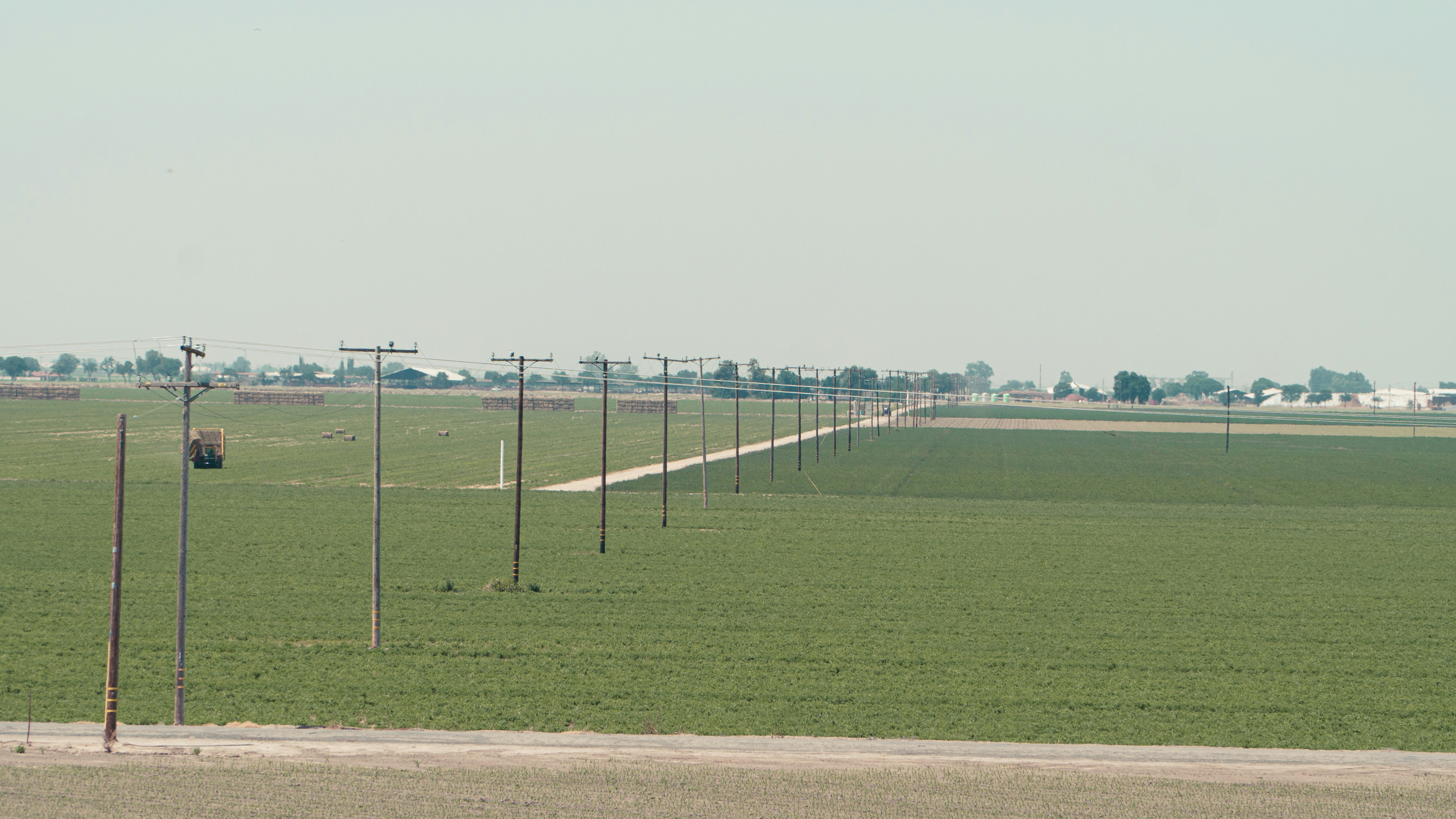 Expansive agricultural field with power lines stretching into the distance, showcasing the vastness of rural landscapes.