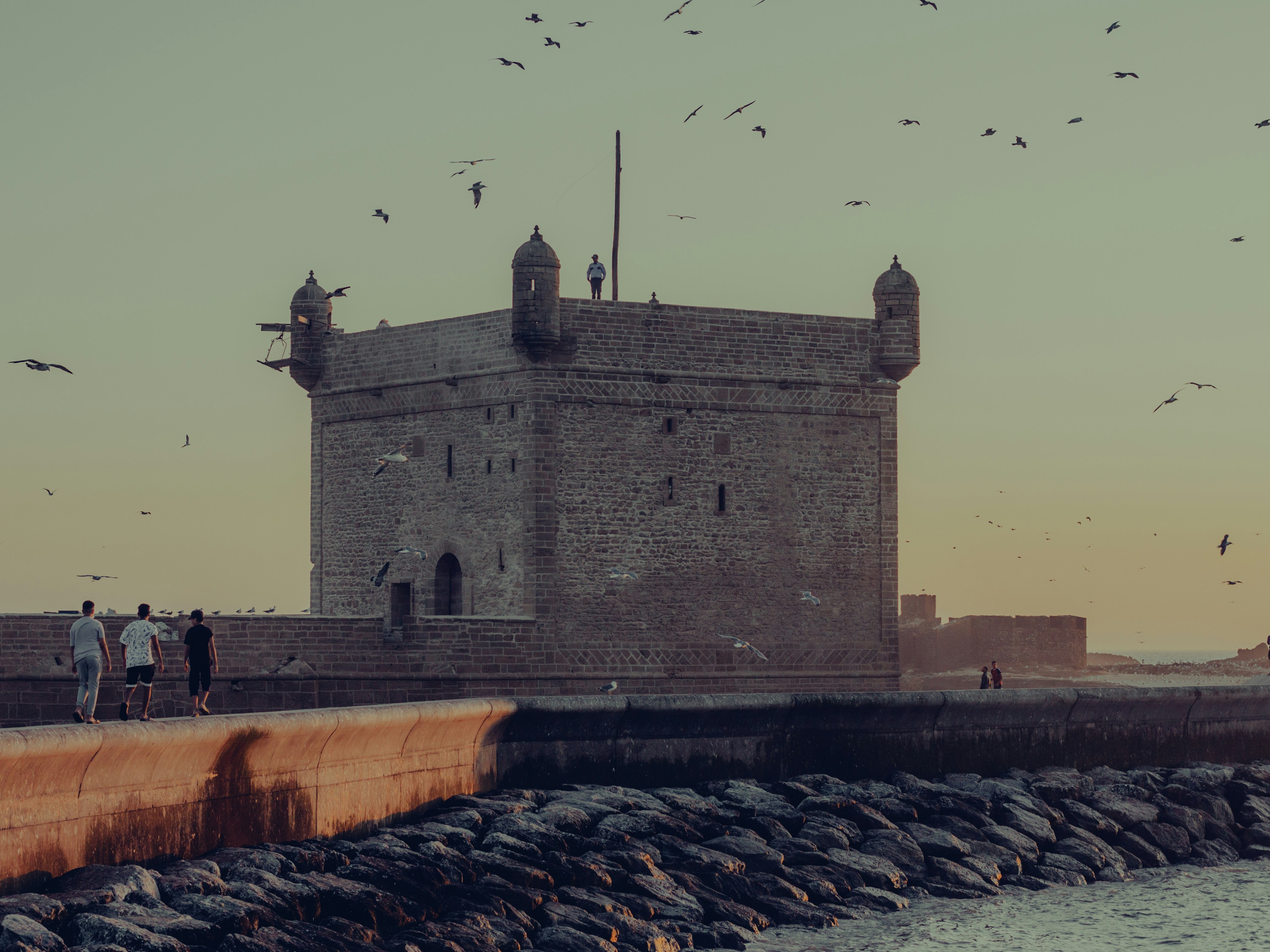 Twilight Bastion: A Seaside Fortress Beneath a Sky Full of Birds