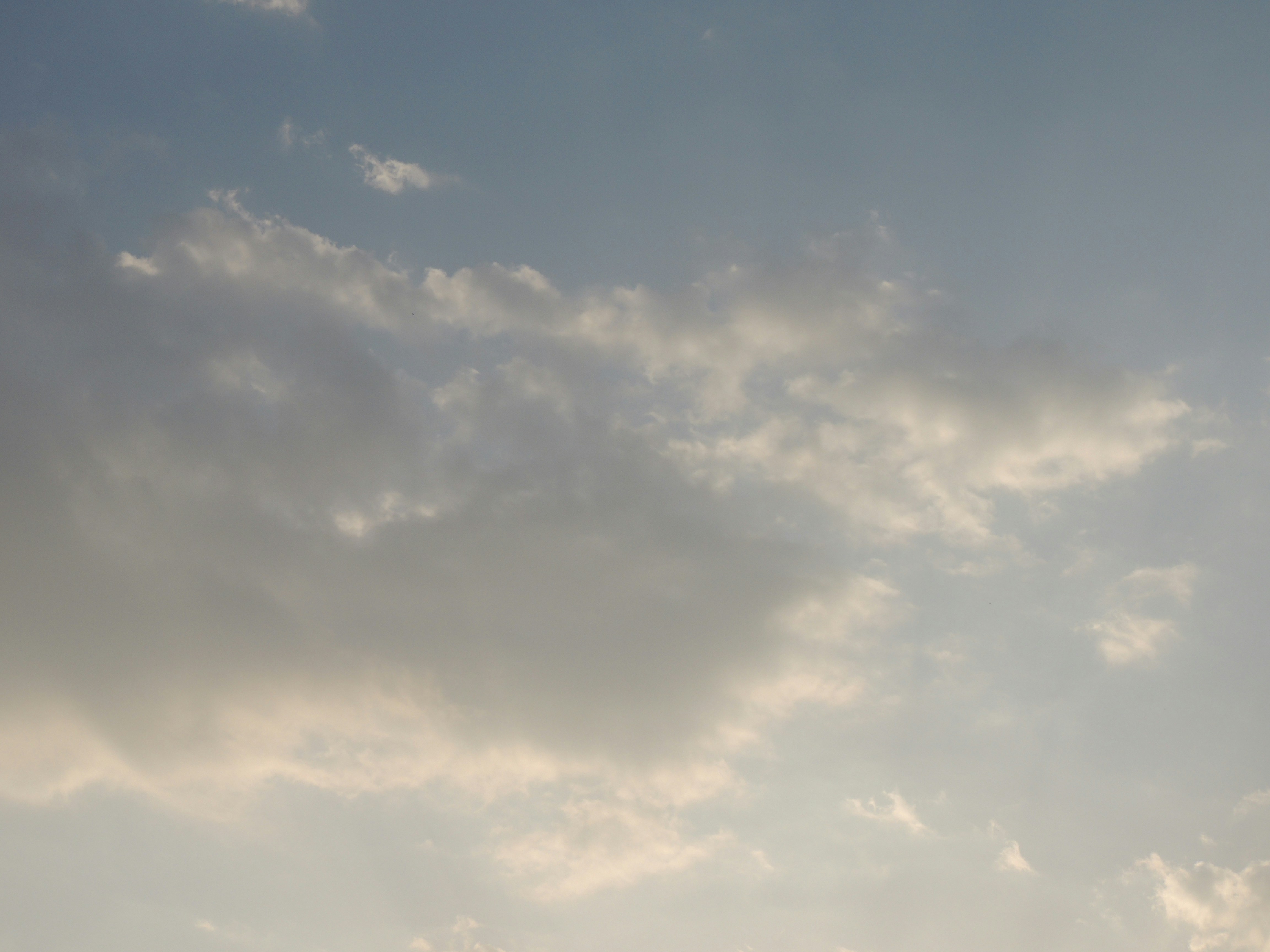 睿翔 秦 (@qrx) | Communauté photos Unsplash