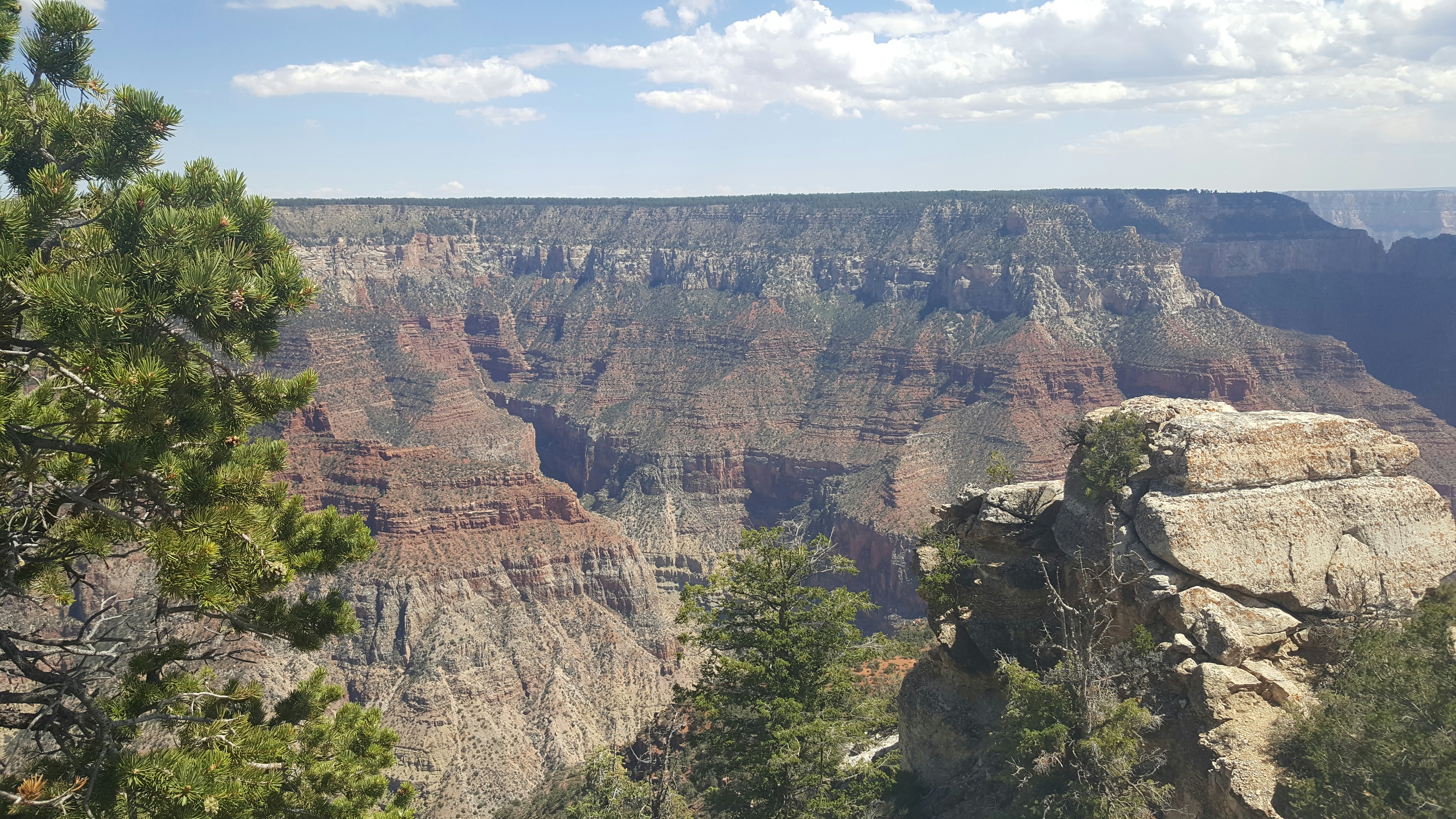 A canyon with trees photo – Free Grand canyon Image on Unsplash