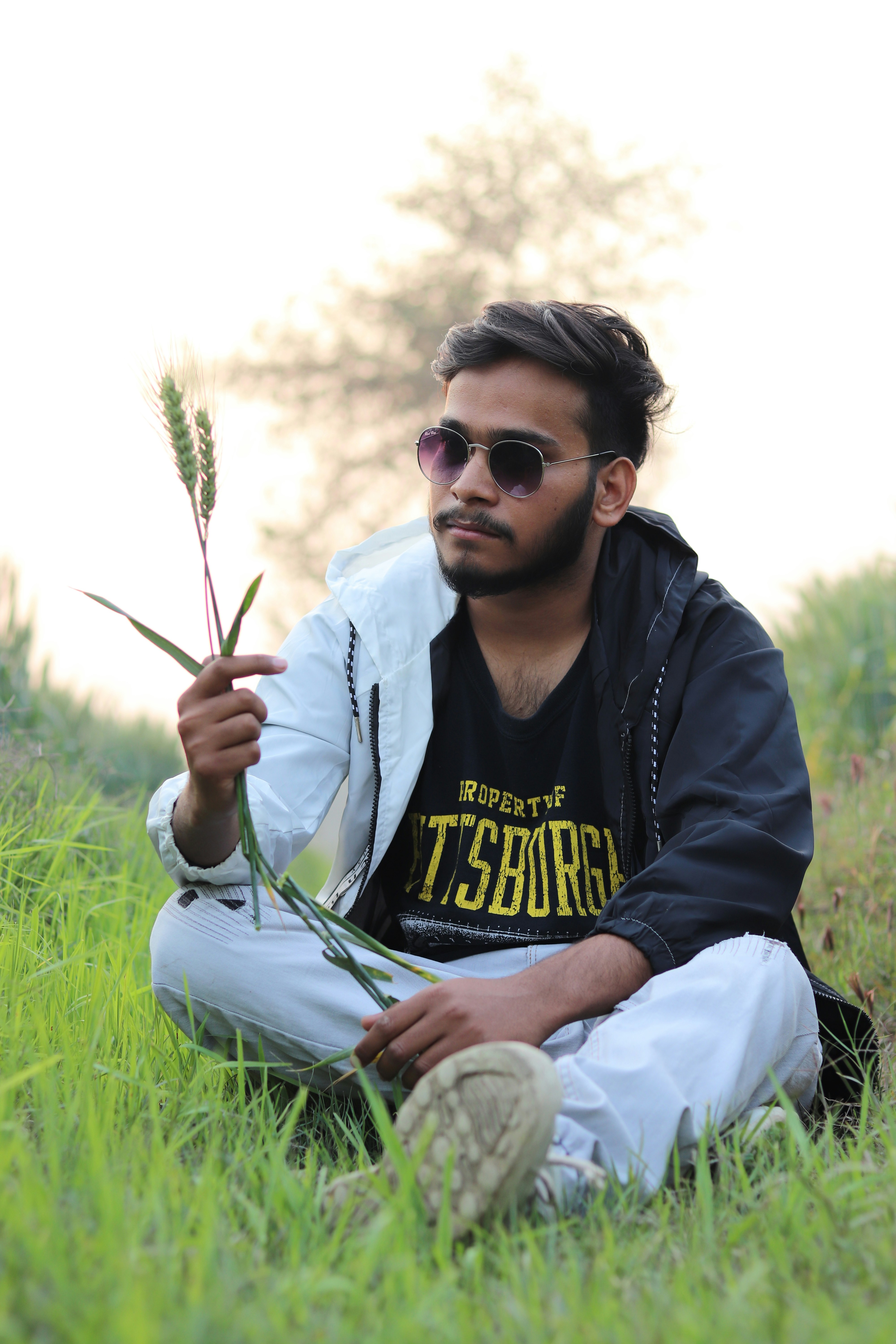 Quiet Contemplation in a Grassland Frame