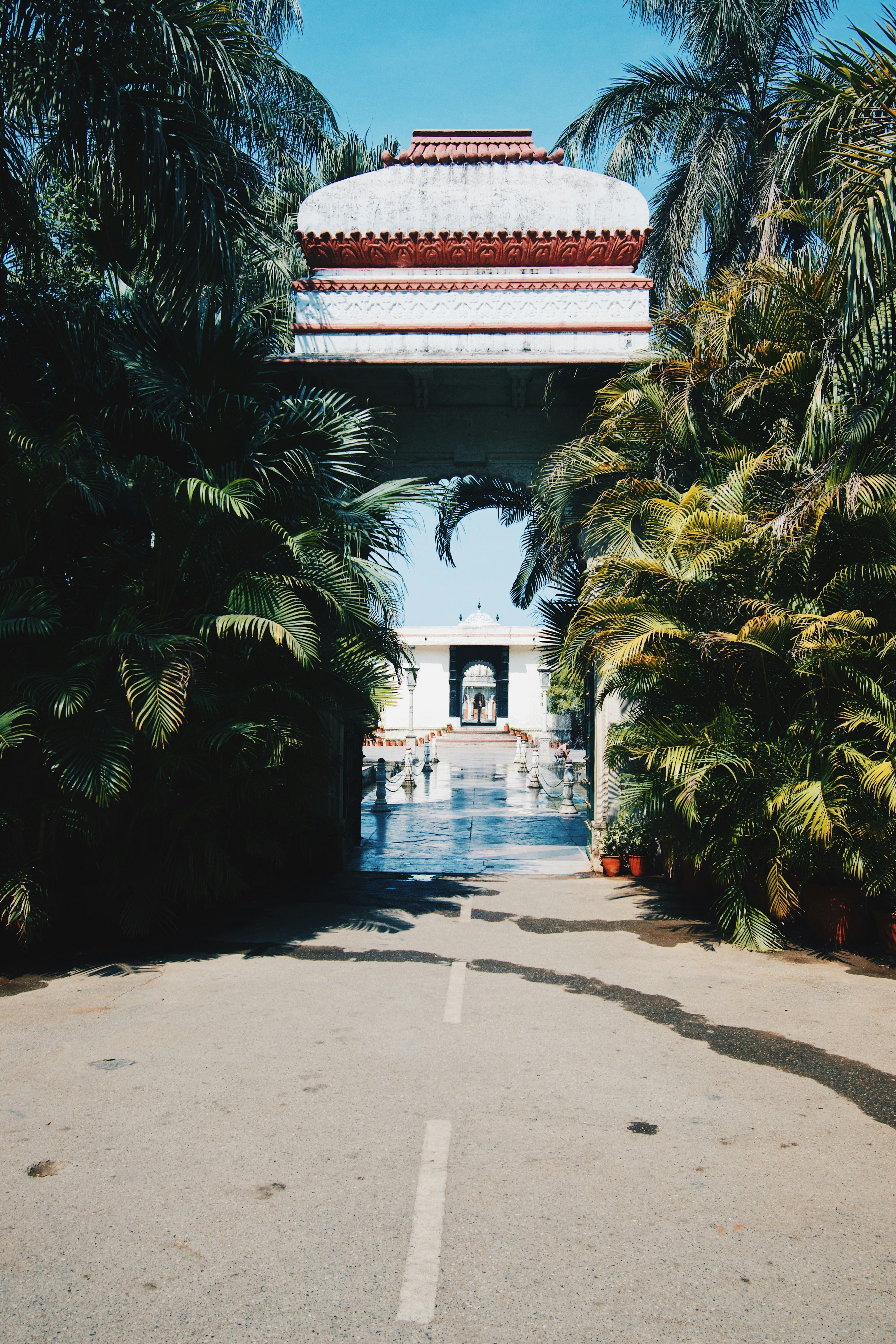 A picturesque entrance framed by vibrant palm trees leading to a serene courtyard with a fountain. The architectural details above add a cultural touch.