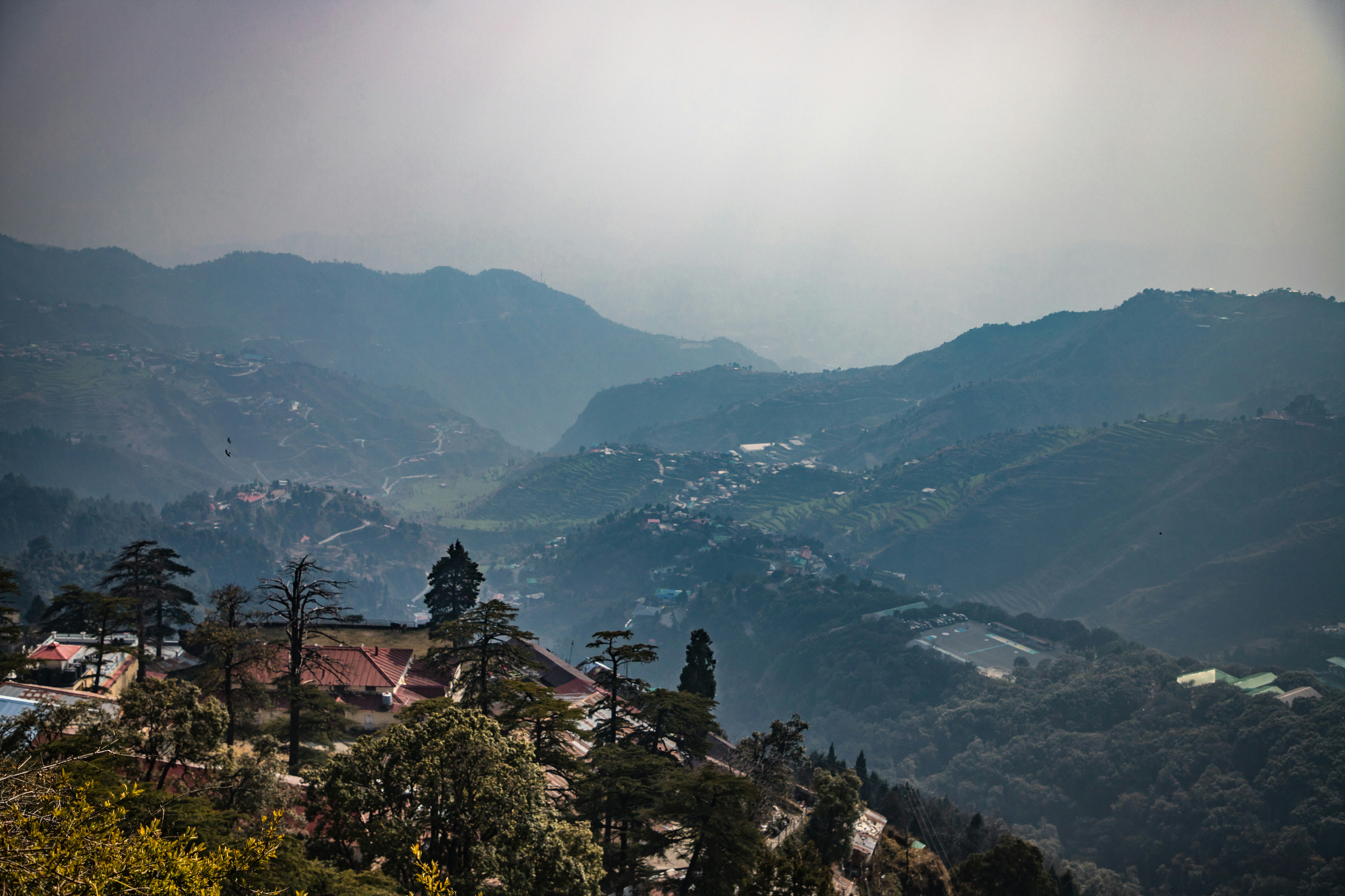 Hazy hills and scattered trees overlooking a distant valley under a muted sky.