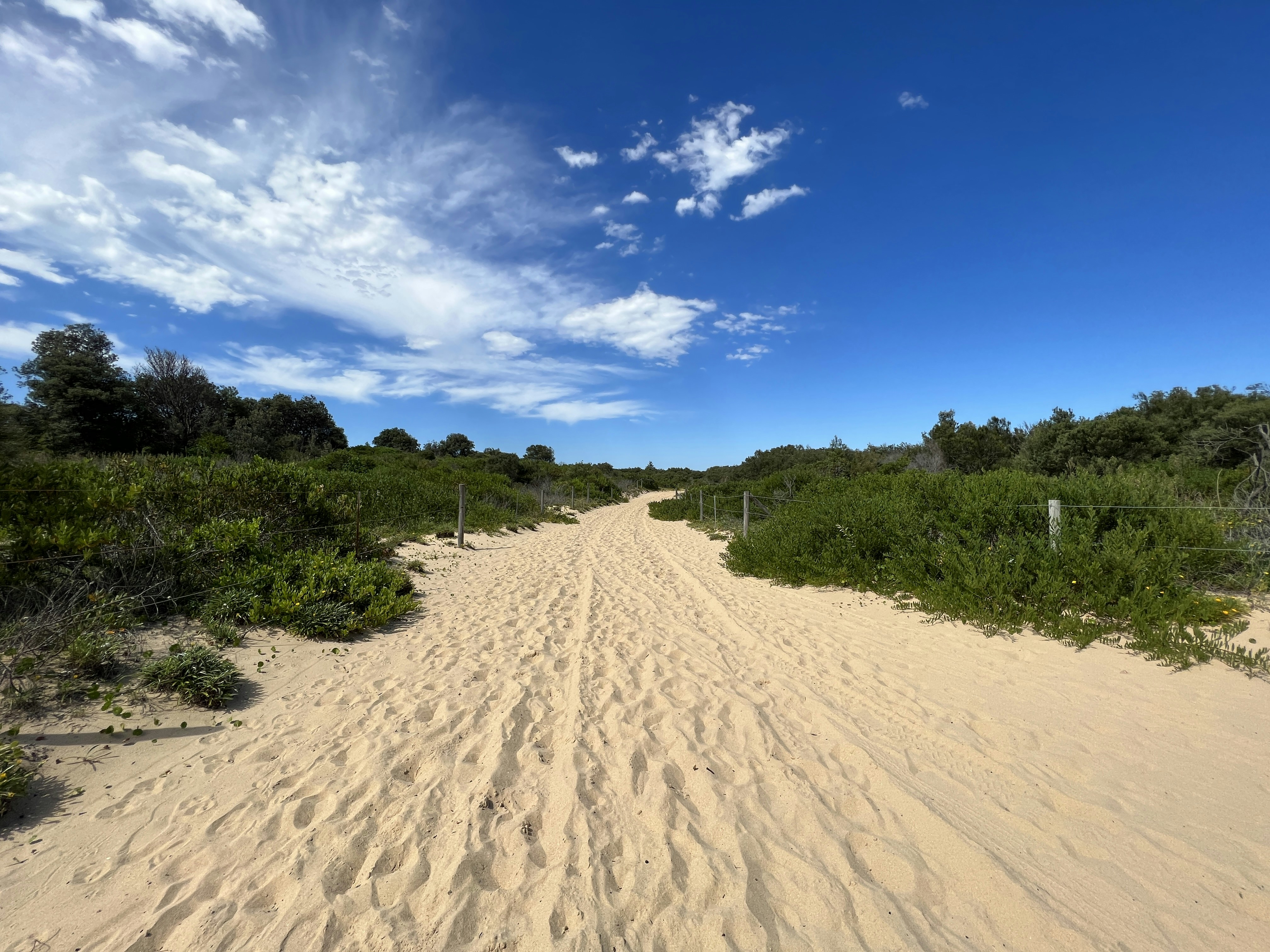 Ridge and Run: A Sandy Path to a Cloud-Swept Horizon