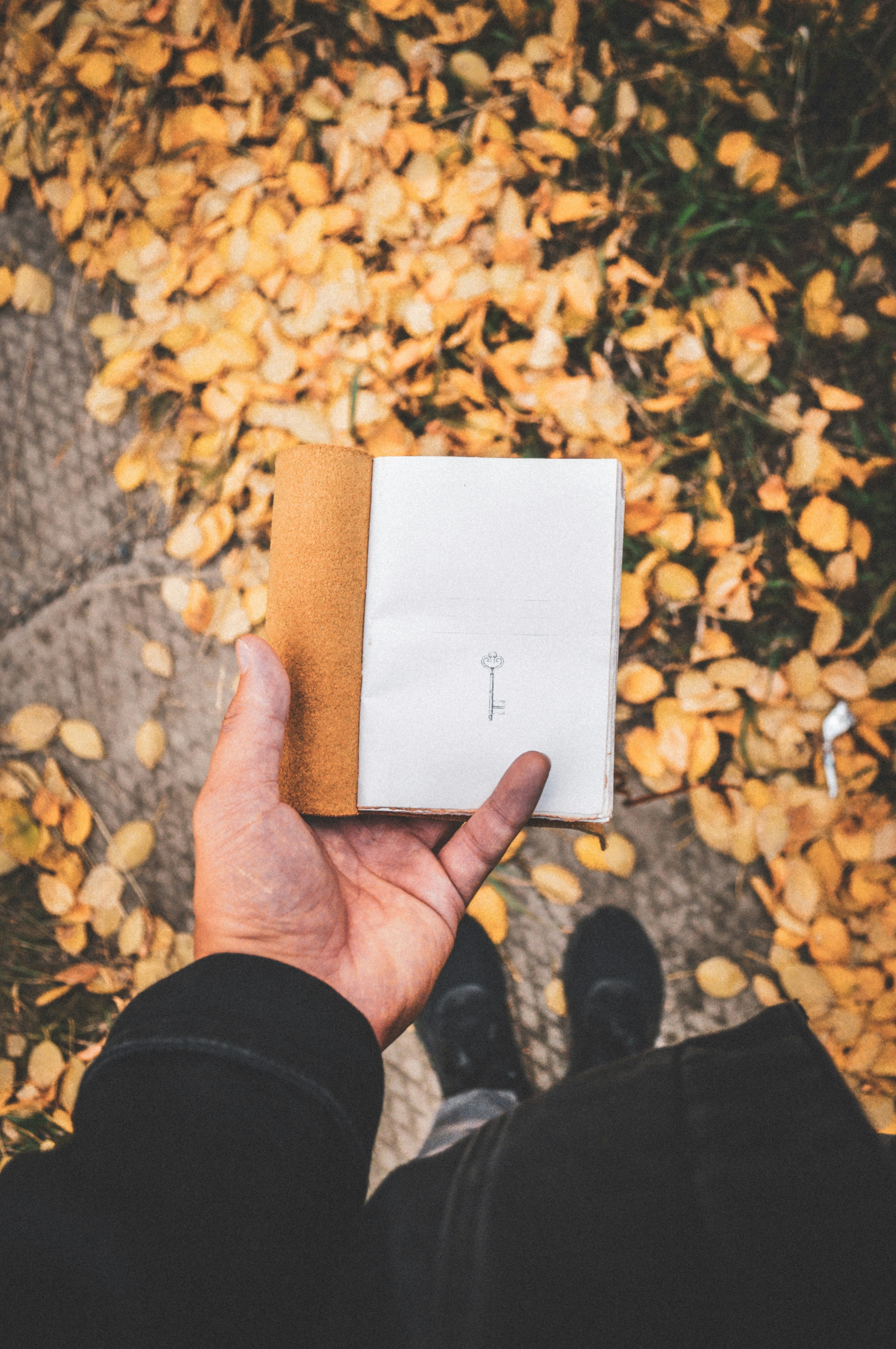 Une main tenant une tablette blanche photo – Photo La personne Gratuite ...