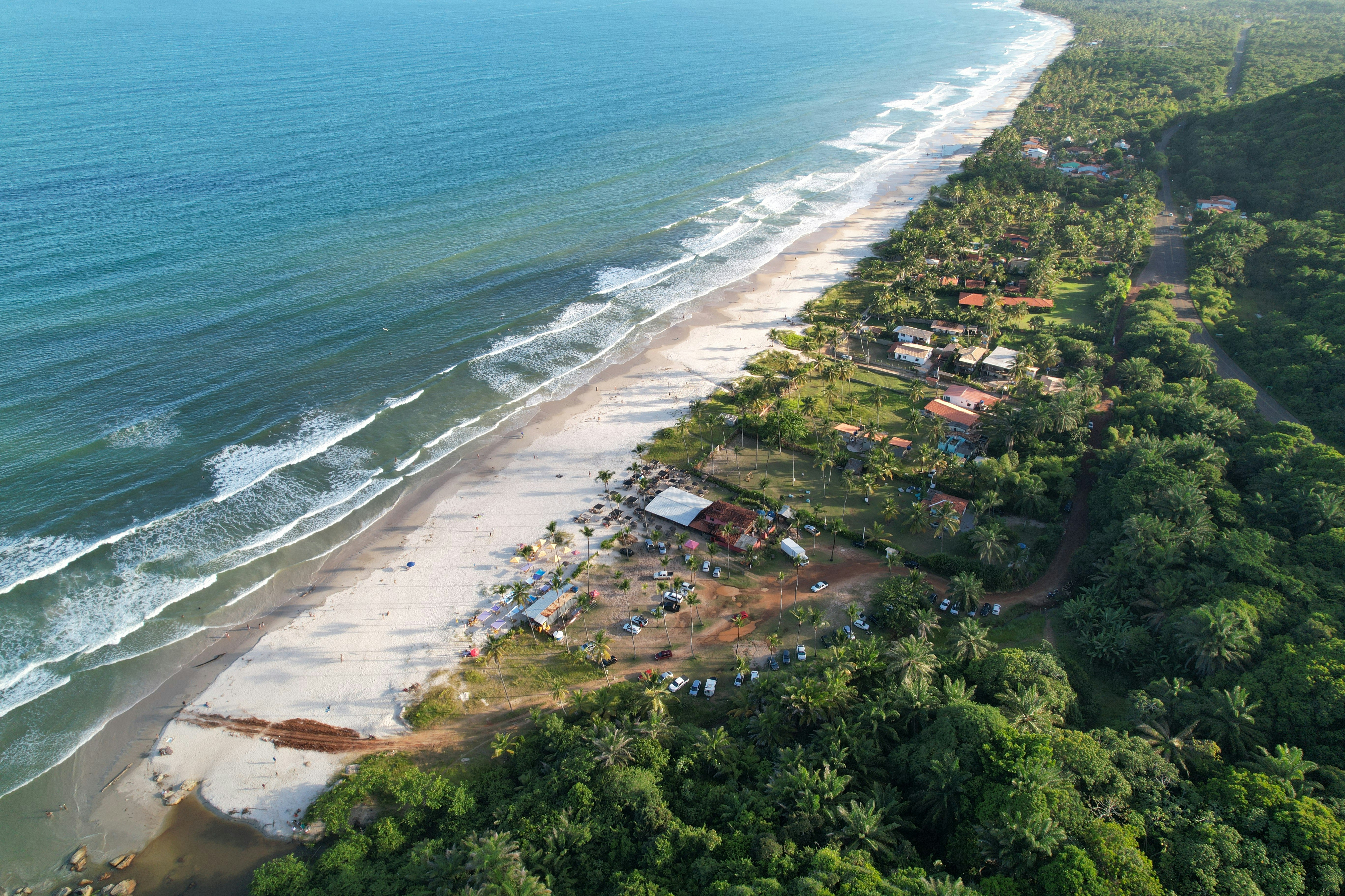 Aerial view of a tranquil beach bordered by lush greenery and scattered beachgoers enjoying the sun. Waves gently lap at the shore, creating a peaceful atmosphere.