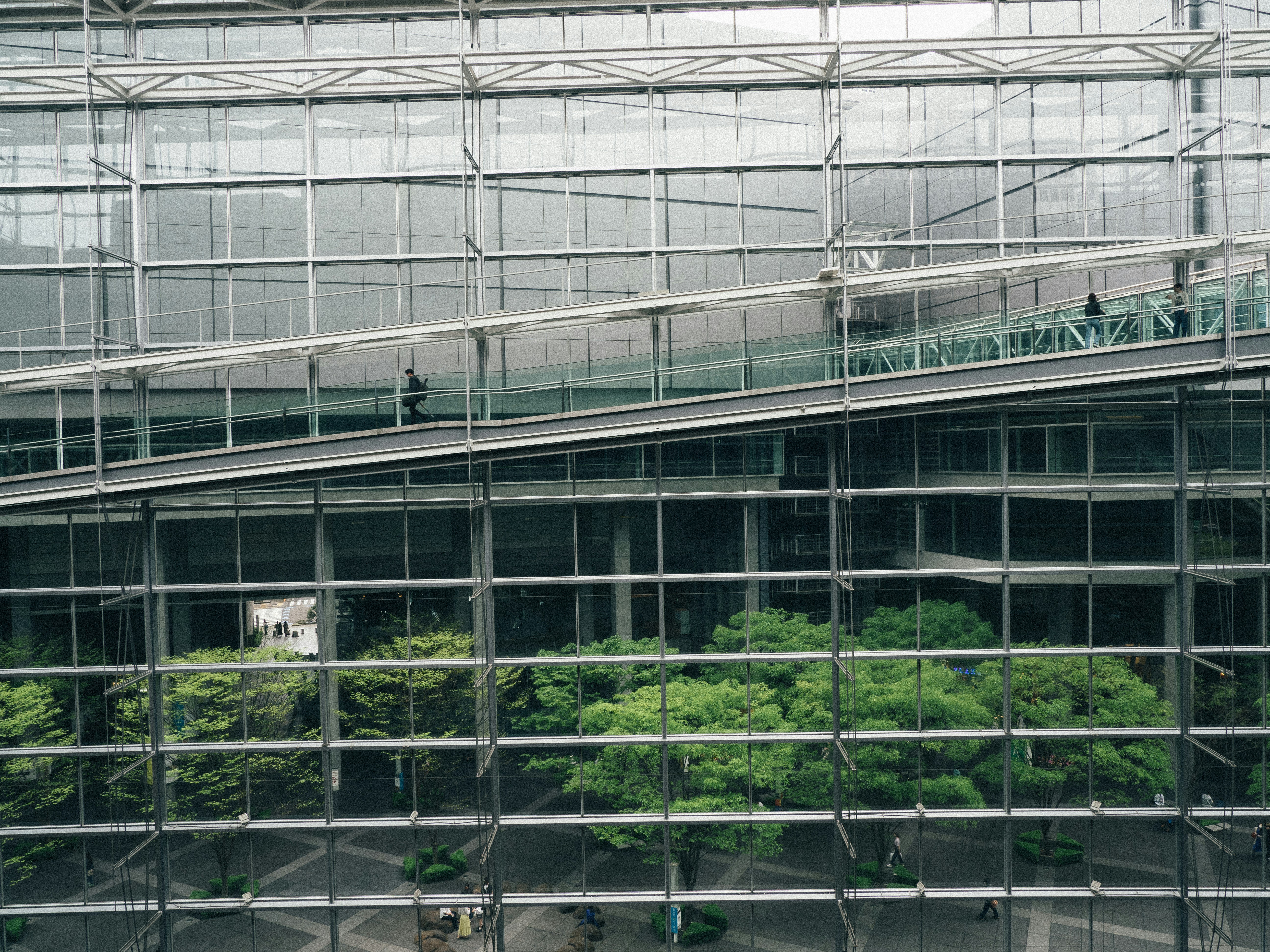 Gridwork and Green: A Glass Facade Framed in Steel