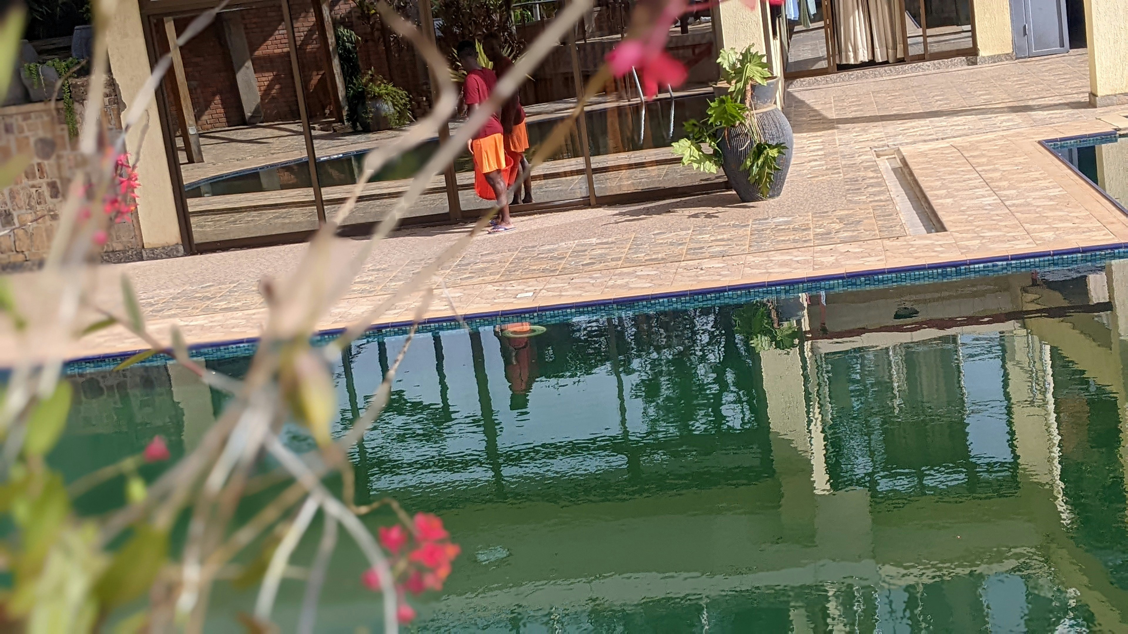 A pool with a deck and a tree photo – Free Kigali Image on Unsplash