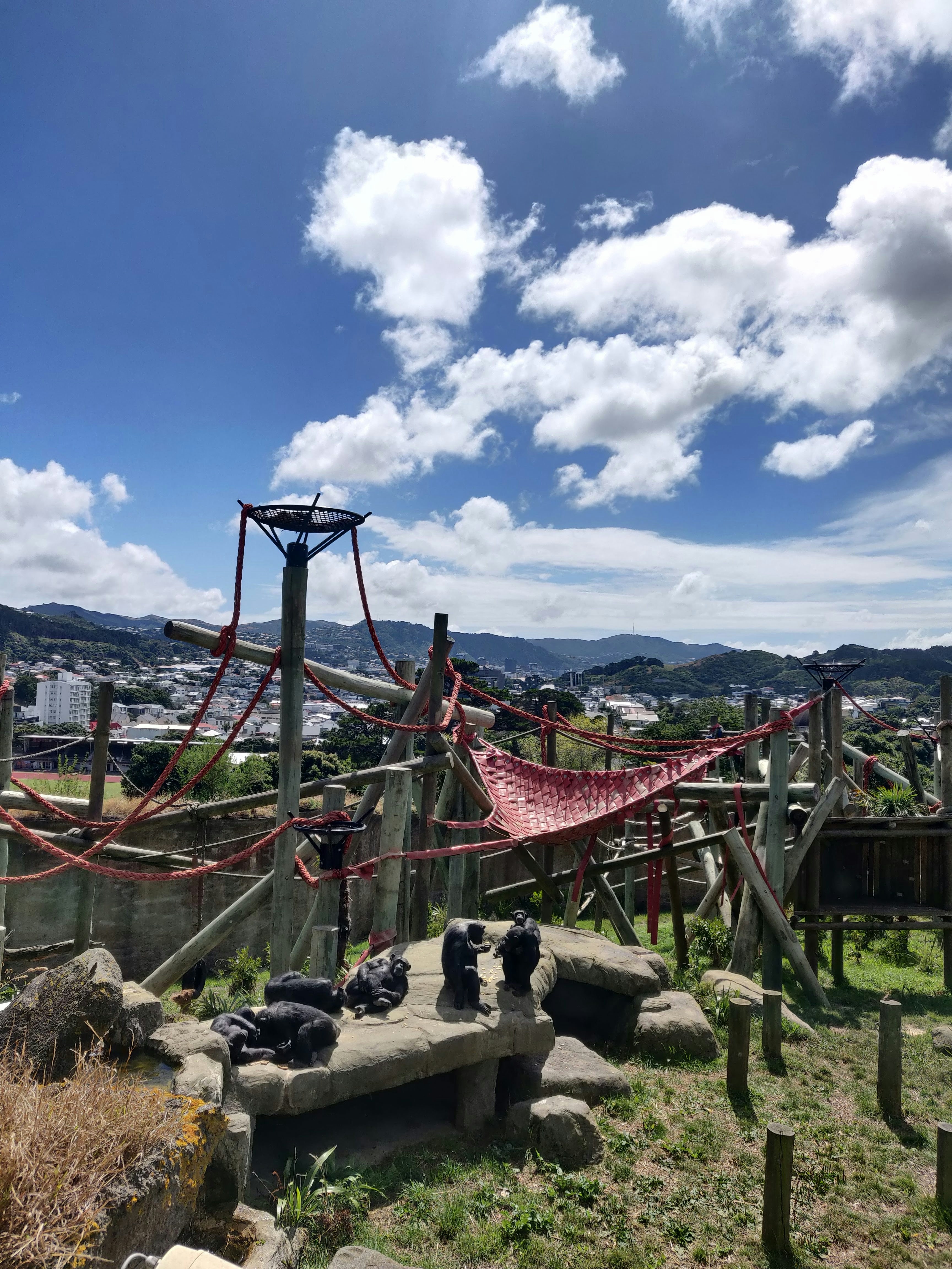 A vibrant animal enclosure featuring climbing structures and playful creatures beneath a bright blue sky dotted with clouds.