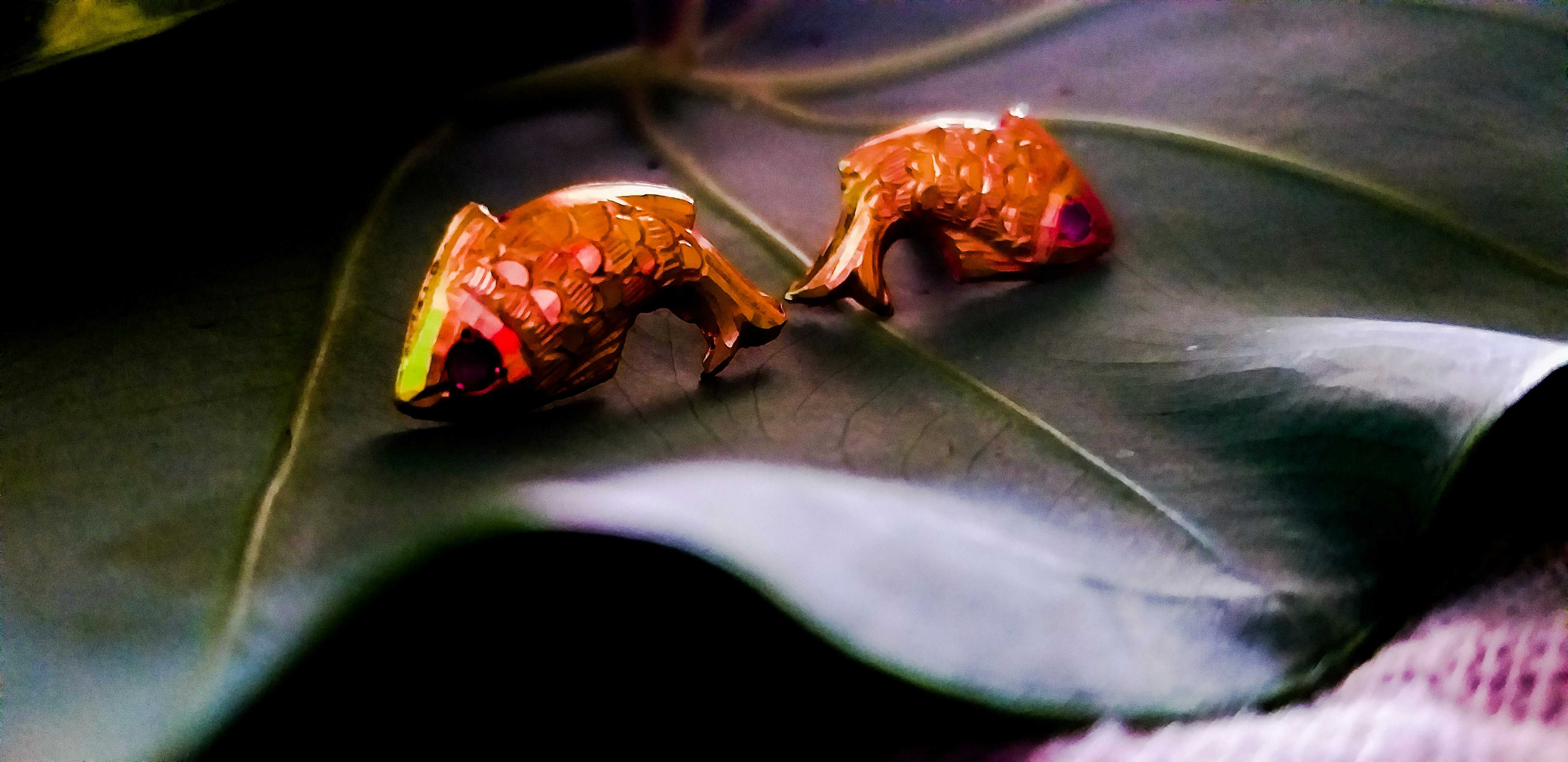 Duo of Orange Poison Dart Frogs on a Glossy Leaf